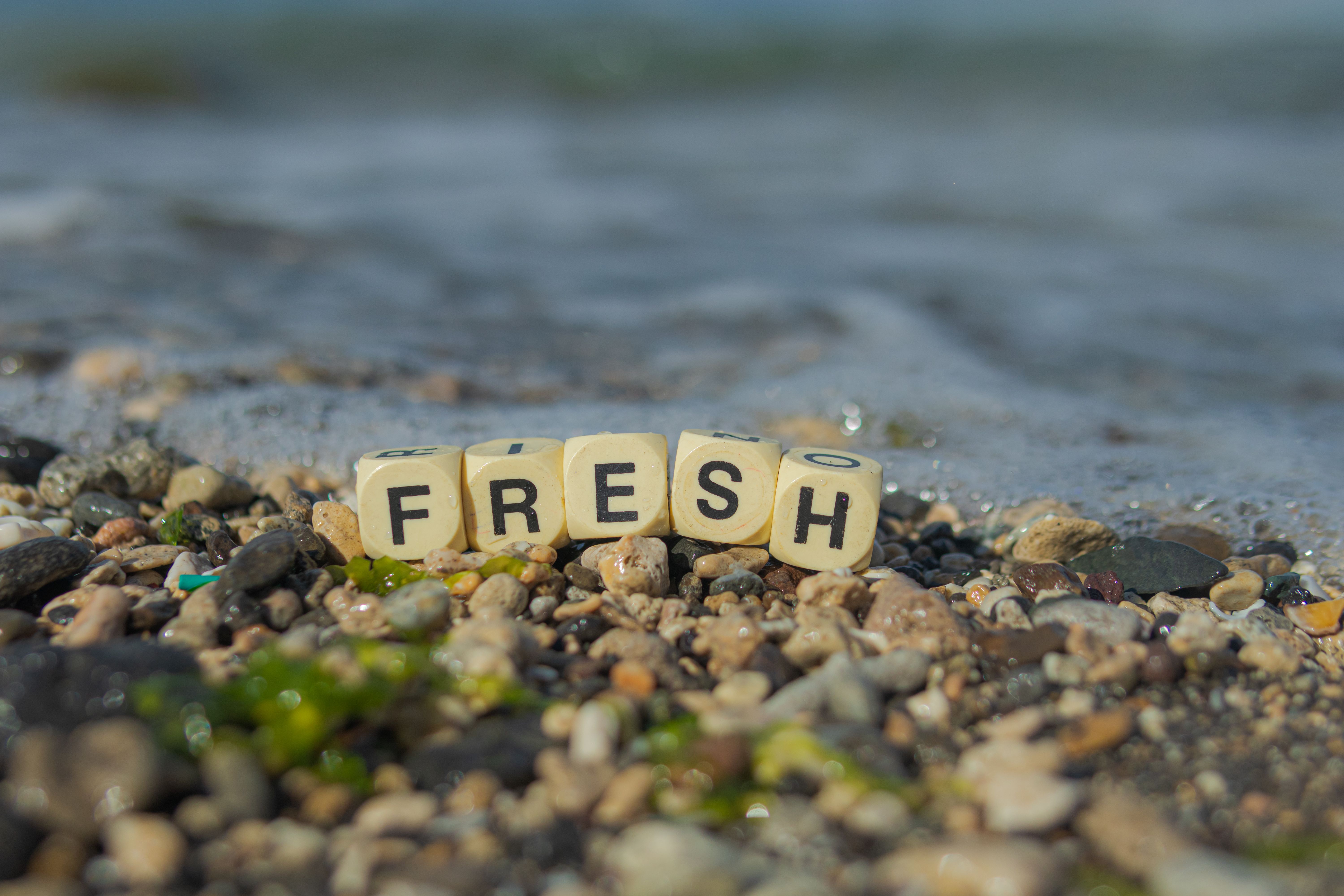 Beach Pebbles with 'FRESH' Blocks in Focus · Free Stock Photo