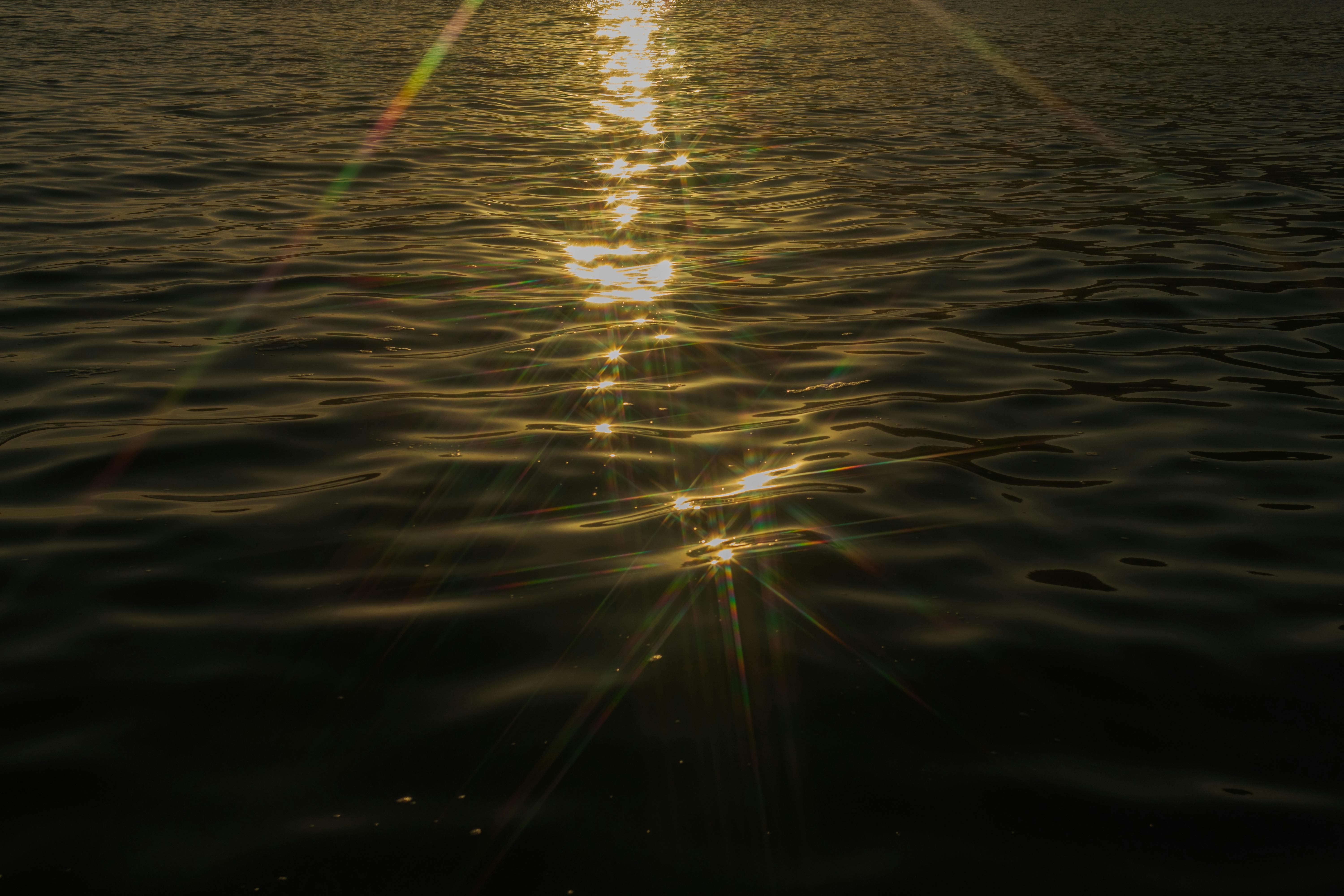 Sunlit Water Surface with Golden Reflections · Free Stock Photo