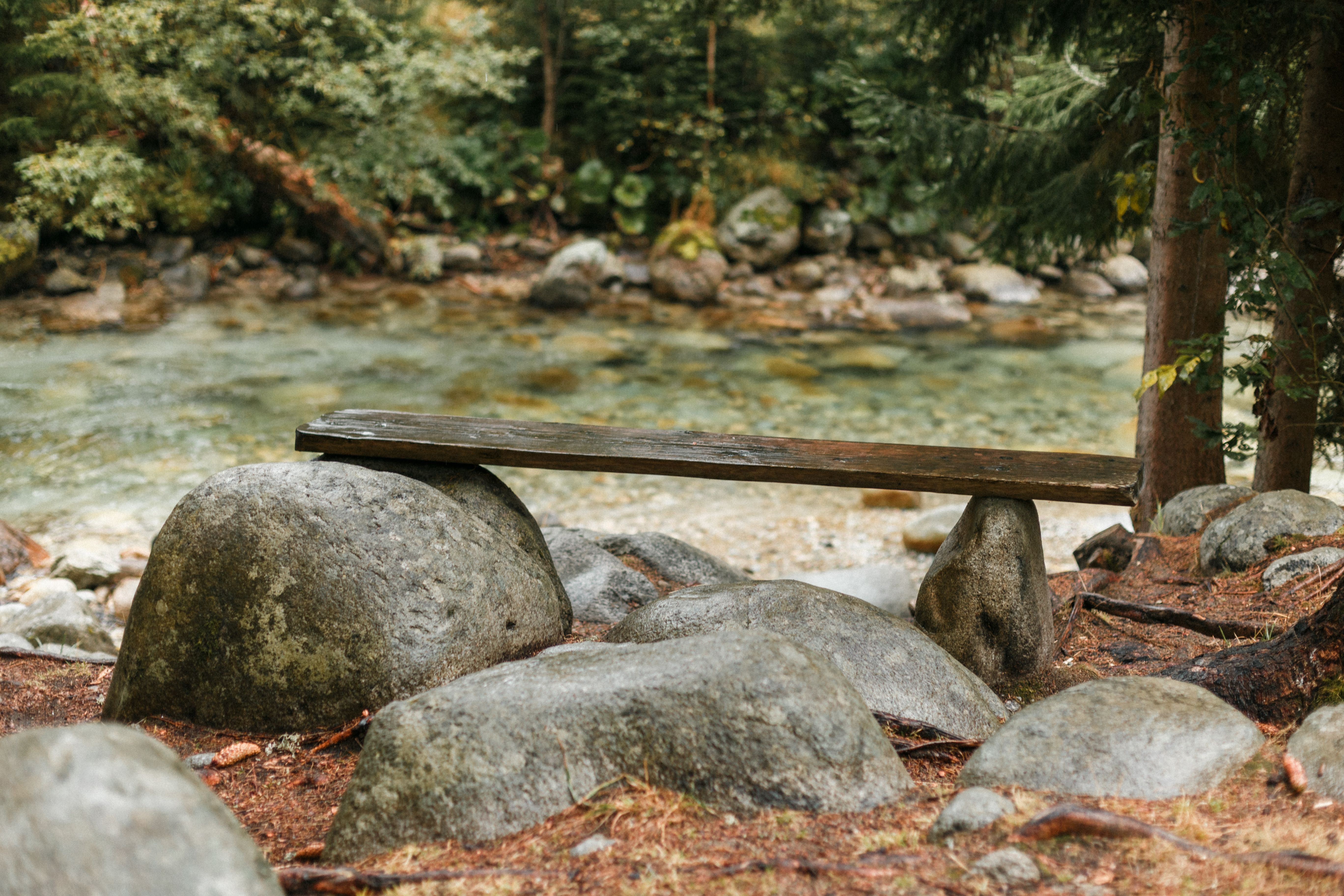 Rustic Wooden Bench by Scenic Forest River · Free Stock Photo