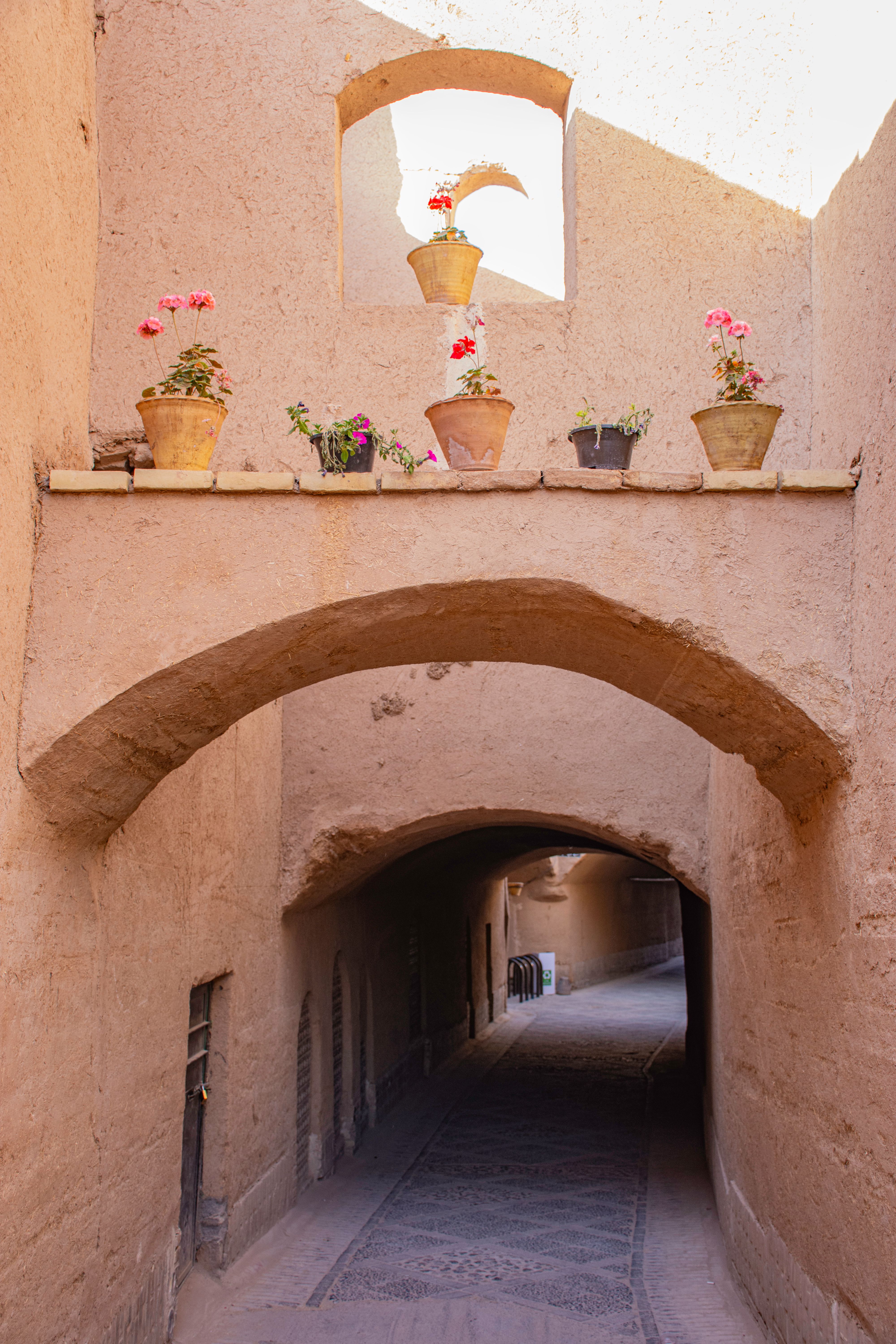Charming Old Alleyway in Yazd with Potted Plants · Free Stock Photo