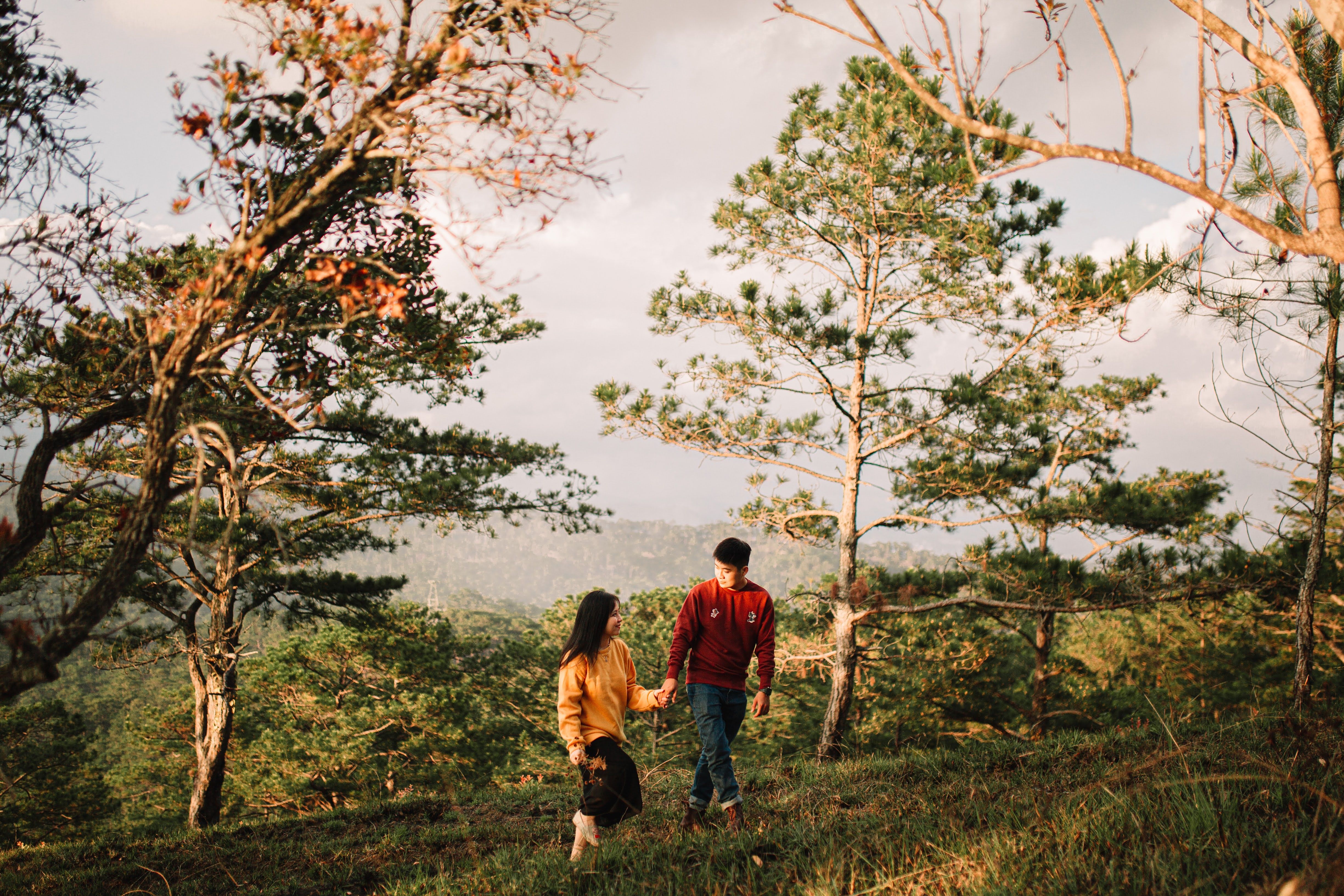 Walking Through Nature Photos, Download The BEST Free Walking Through ...
