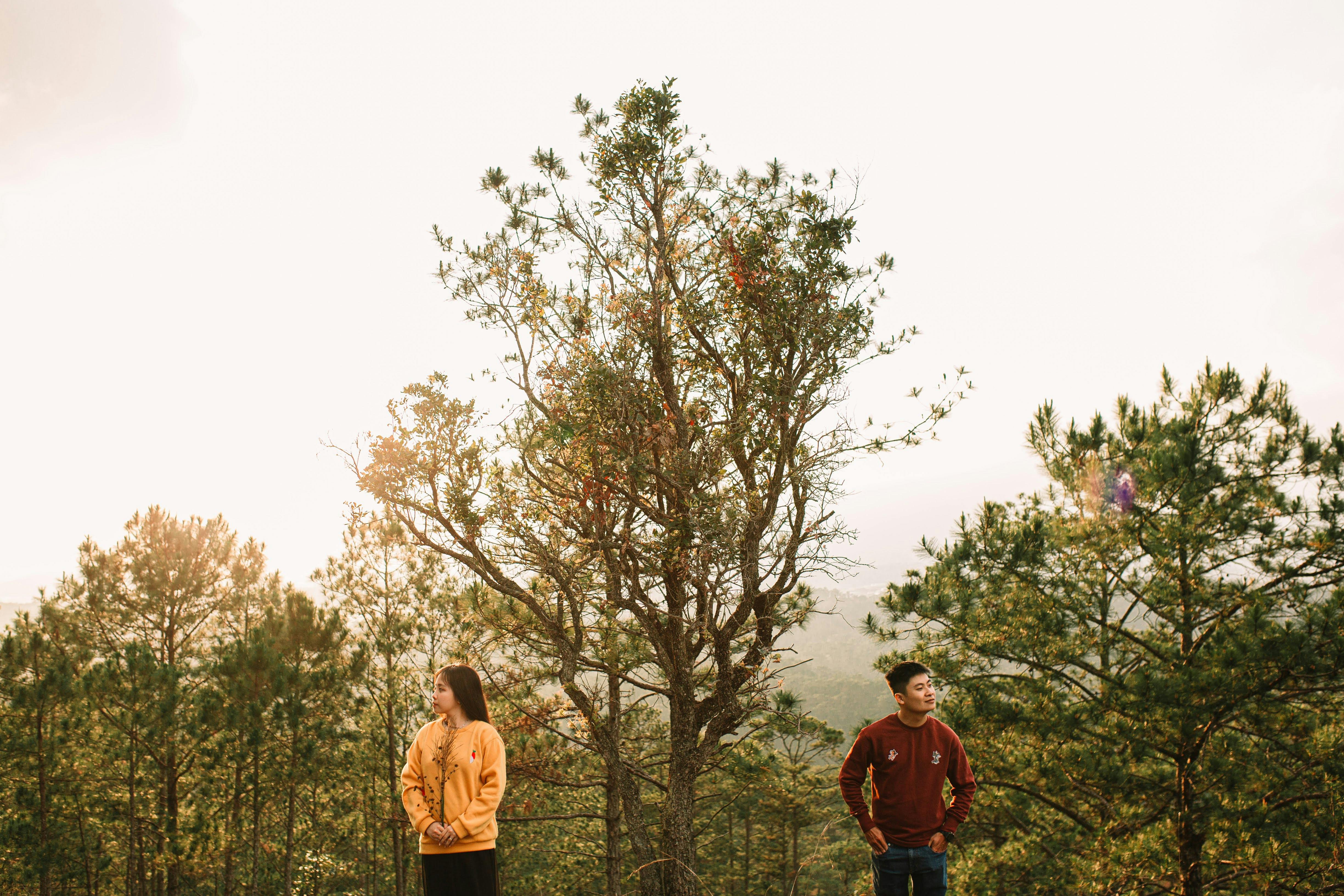 Woman Looking · Free Stock Photo