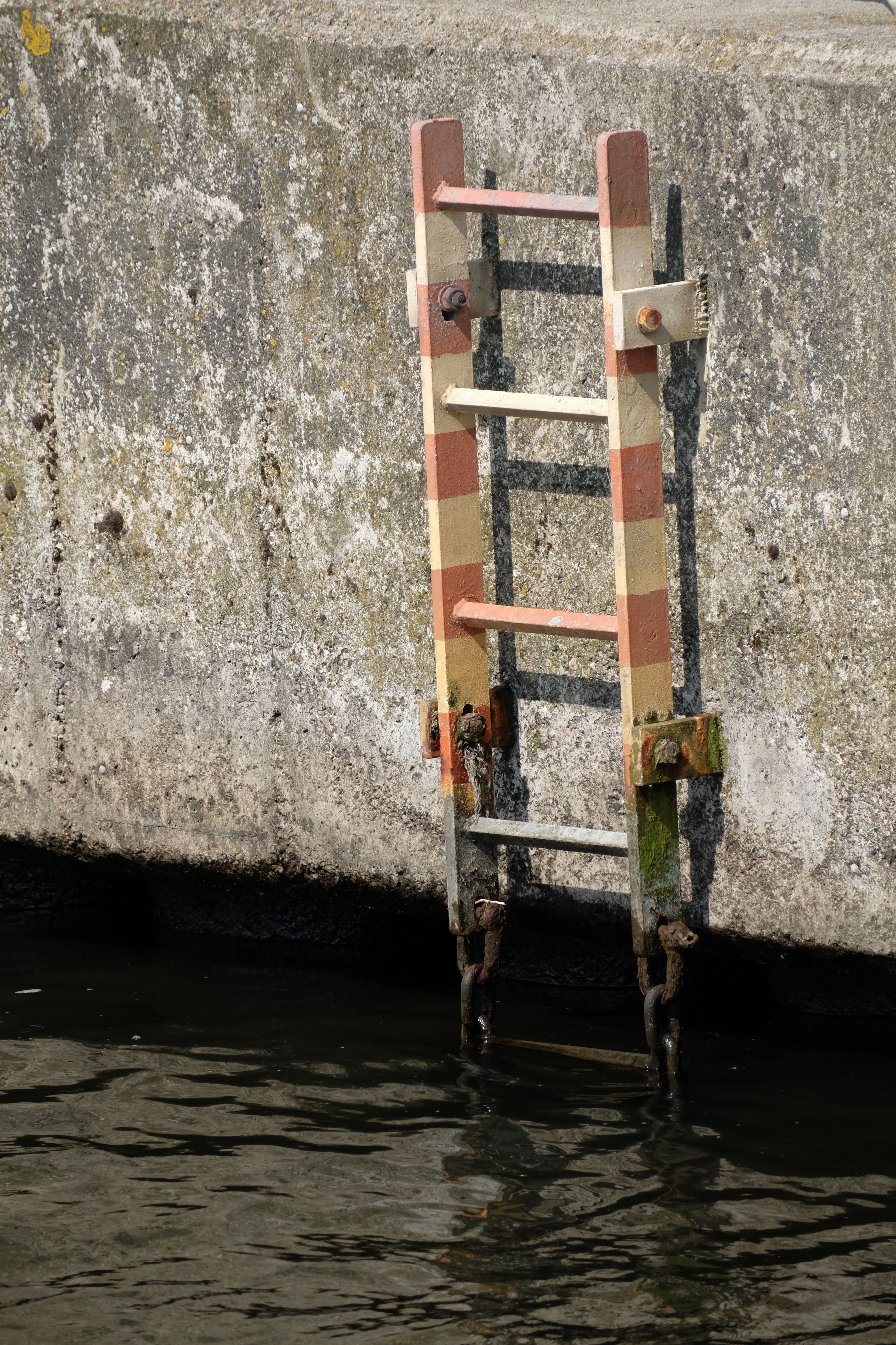Ladder Rung Photos, Download The BEST Free Ladder Rung Stock Photos ...