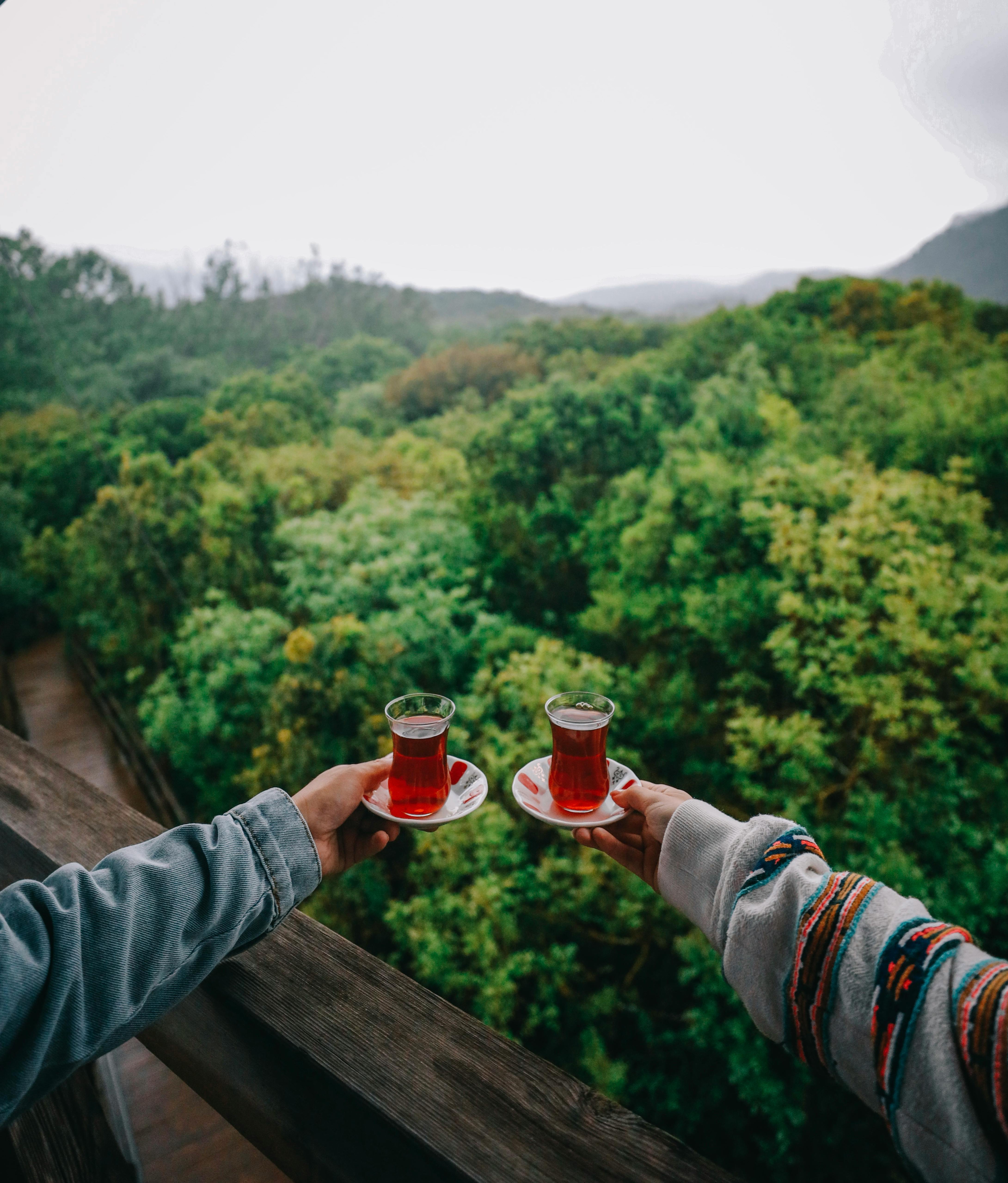 Couple Enjoying Tea Photos, Download The BEST Free Couple Enjoying Tea ...