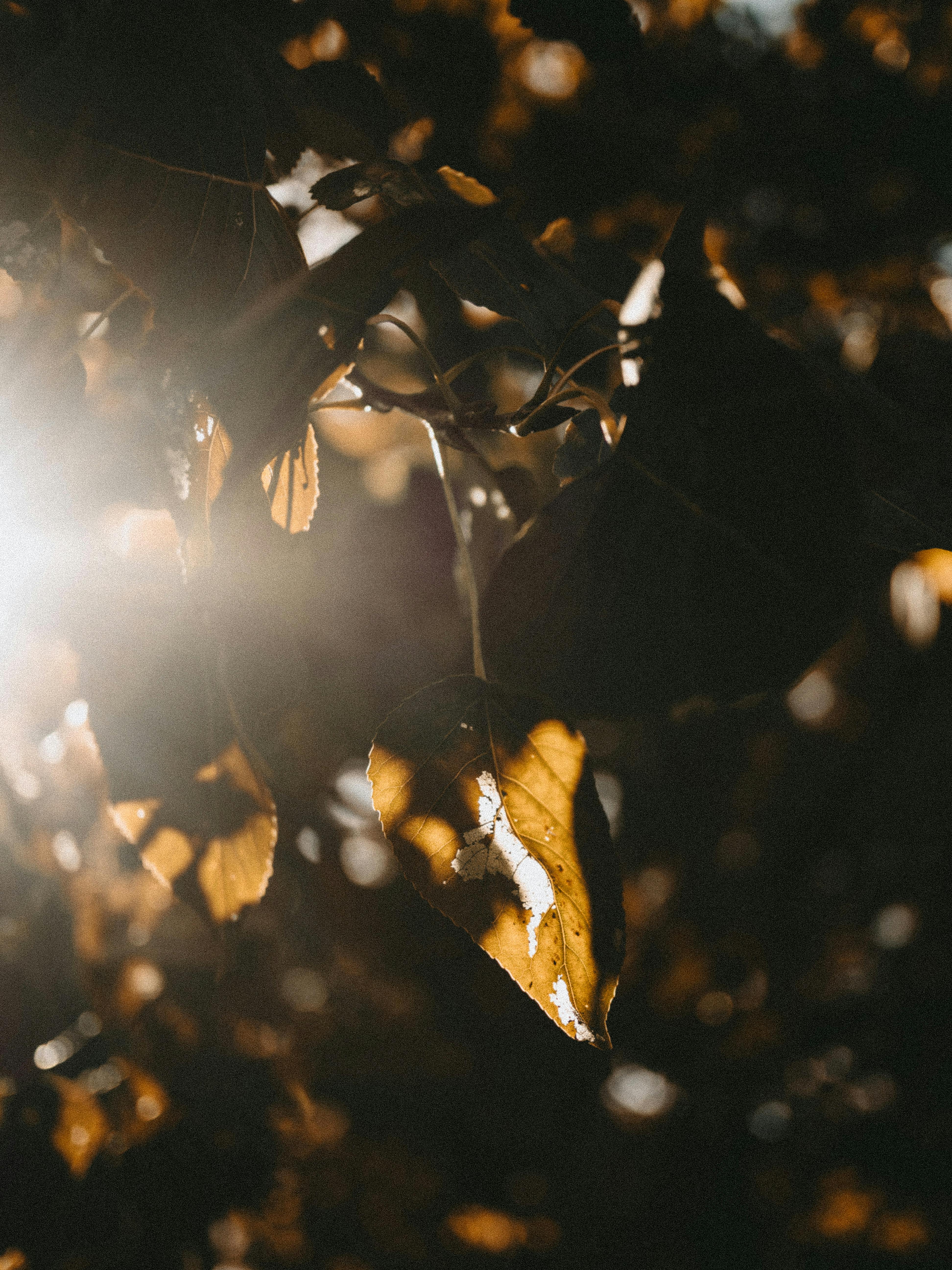 White wall with sunlight and shadow · Free Stock Photo