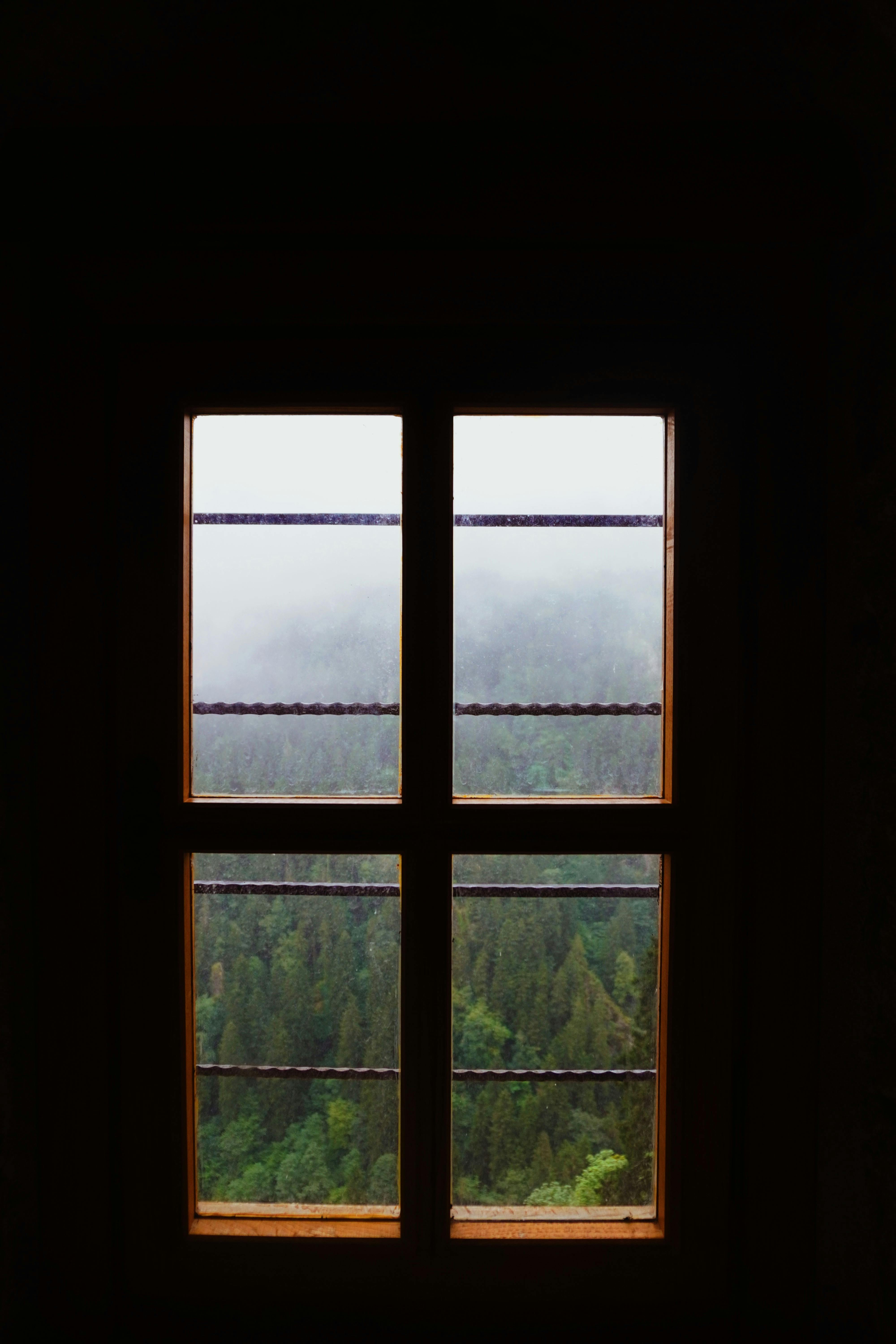 Foggy Forest View Through a Window in Trabzon · Free Stock Photo