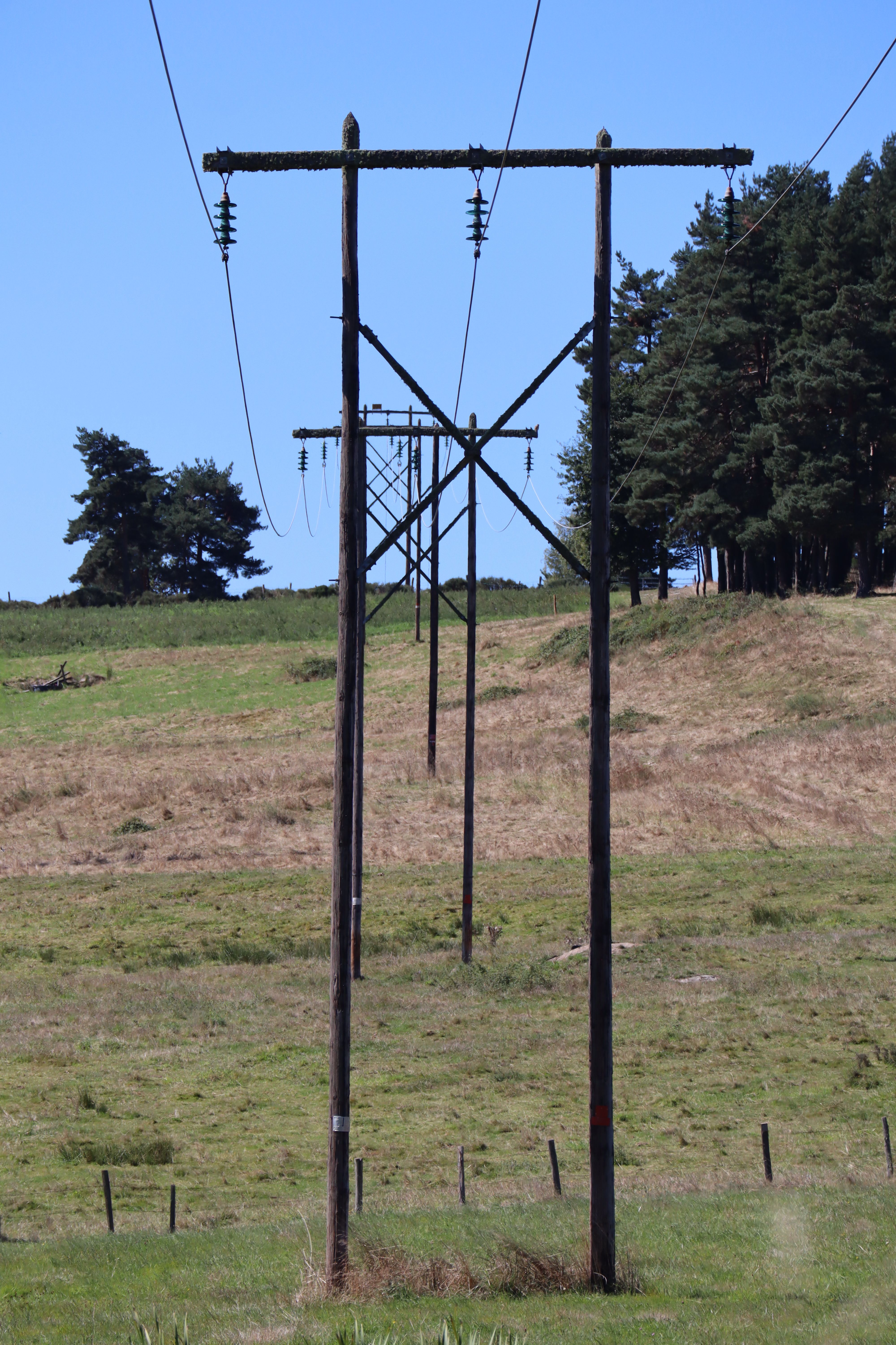 Rural Landscape with Wooden Electric Poles · Free Stock Photo