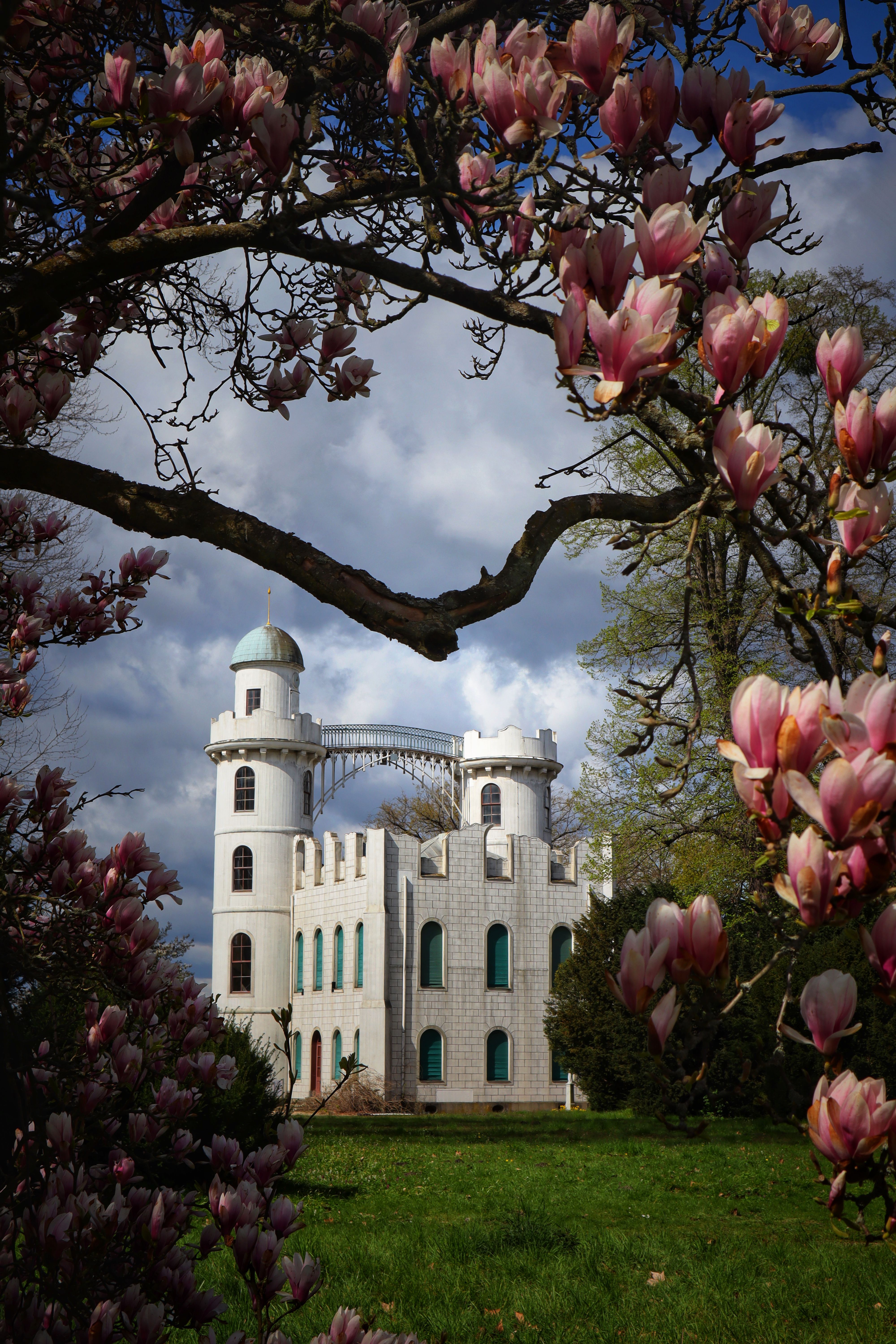 Romantic View of Peacock Island Castle in Spring · Free Stock Photo
