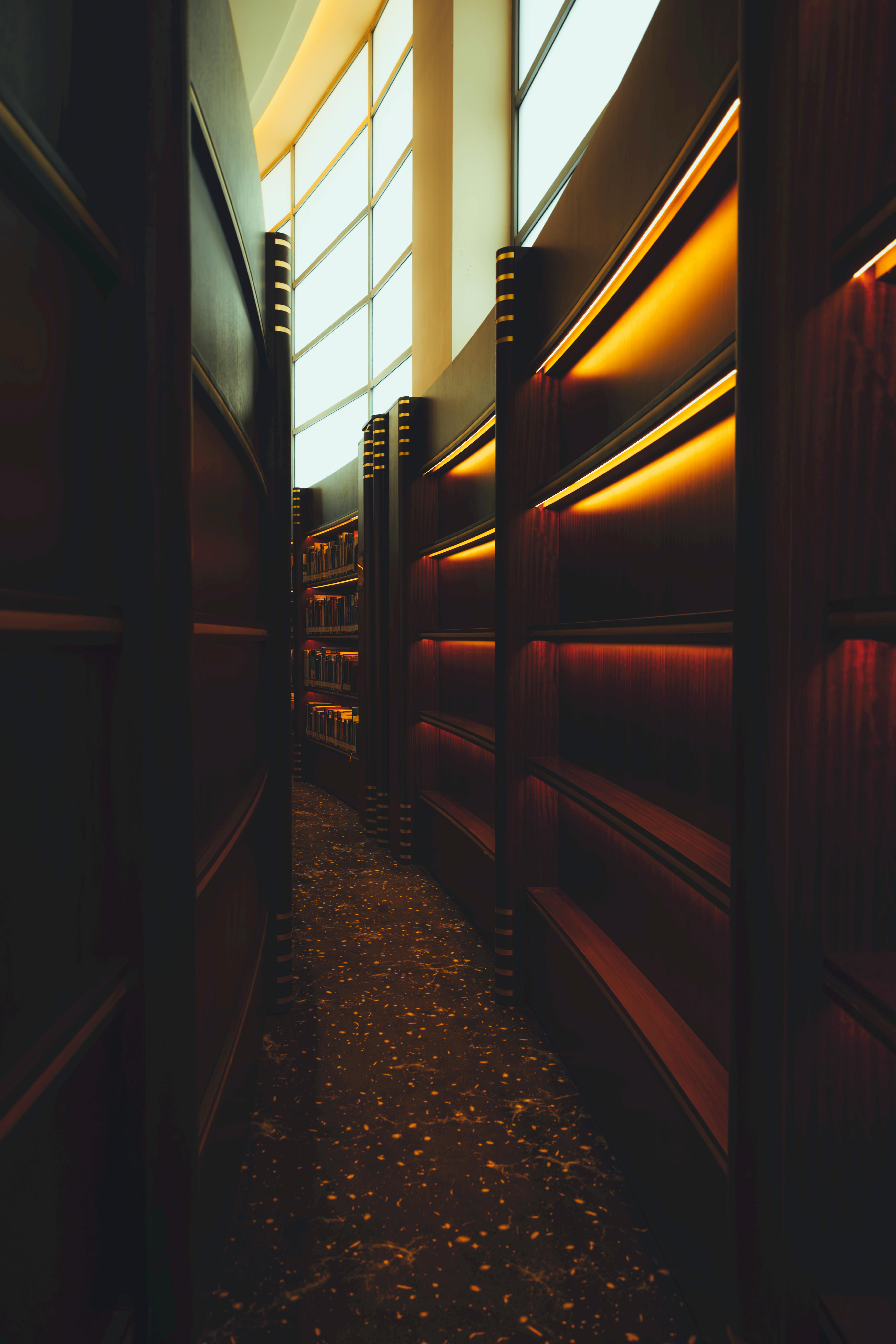 Library Aesthetics Photos, Download The BEST Free Library Aesthetics ...