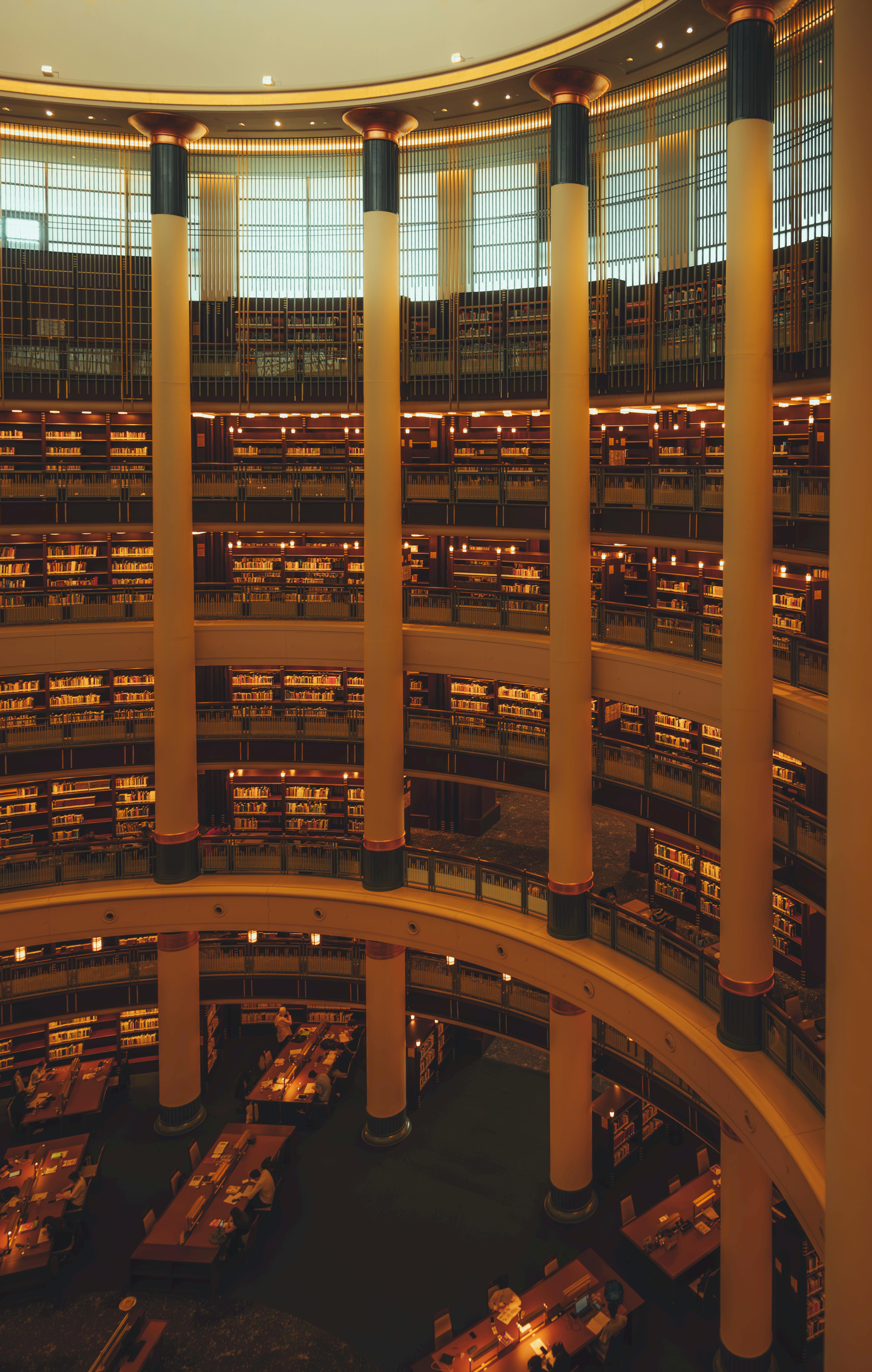 Circular Library Interior with Bookshelves and Columns · Free Stock Photo