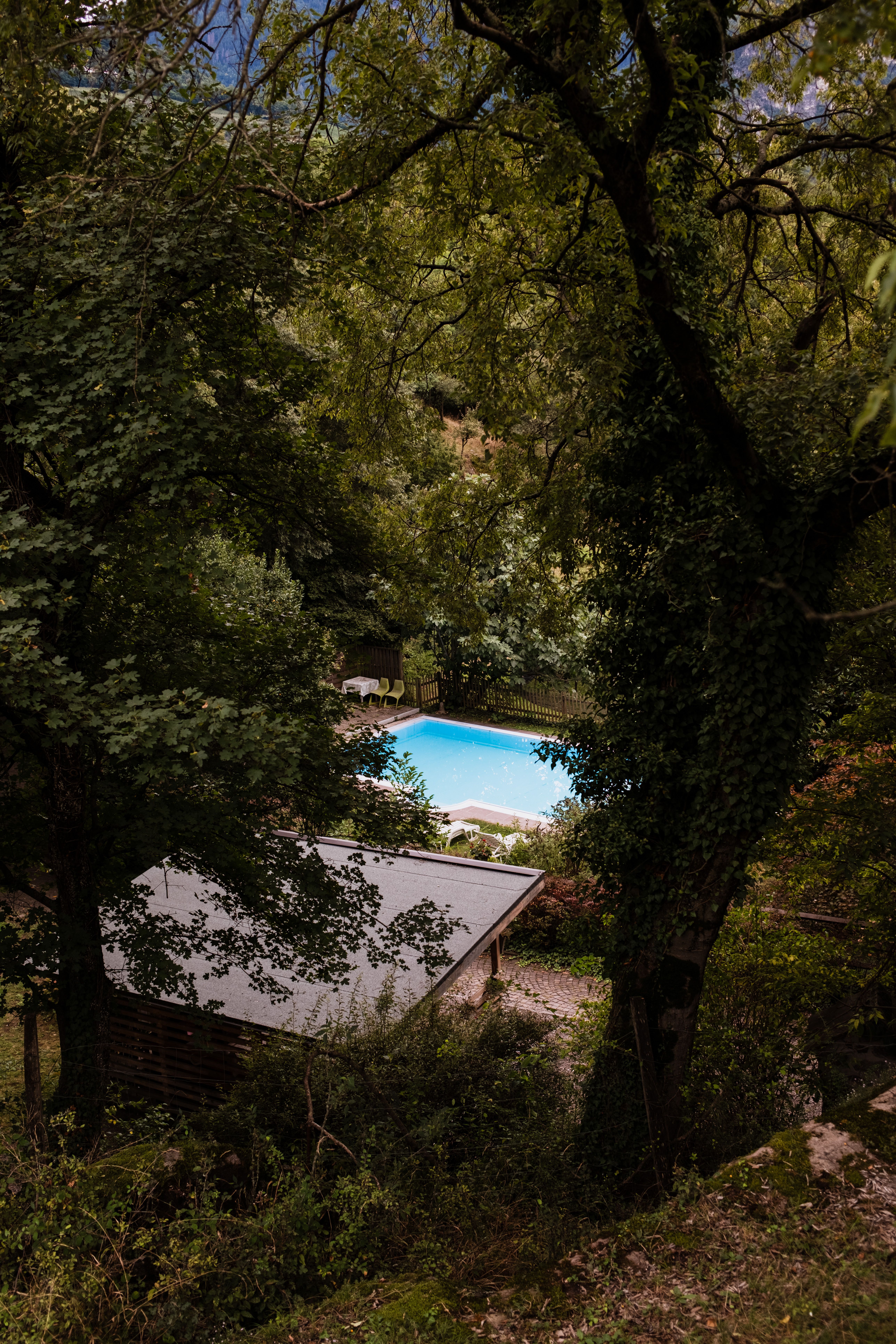 Hidden Outdoor Pool in Forest Setting · Free Stock Photo