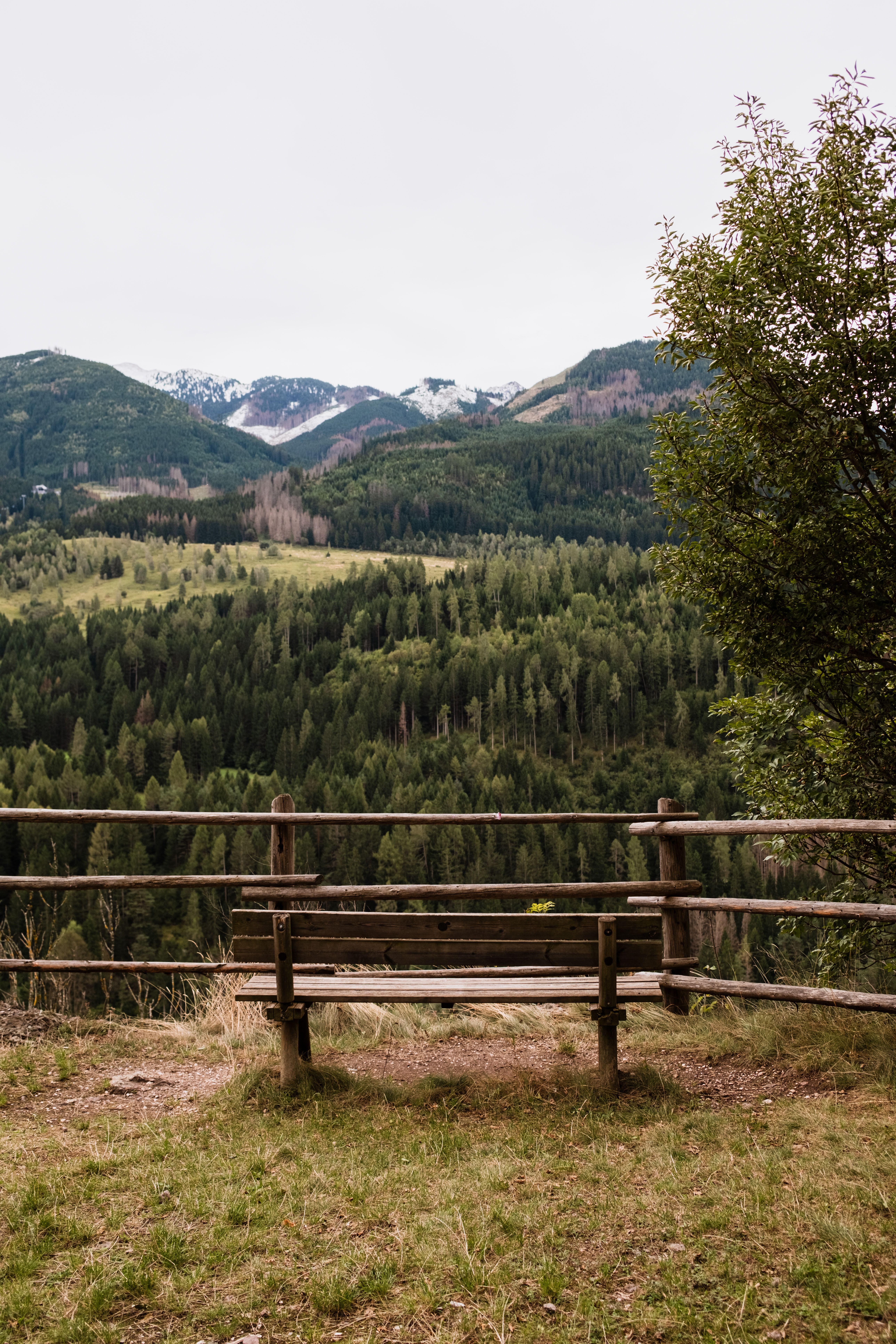 Serene Mountain Valley View with Wooden Bench · Free Stock Photo