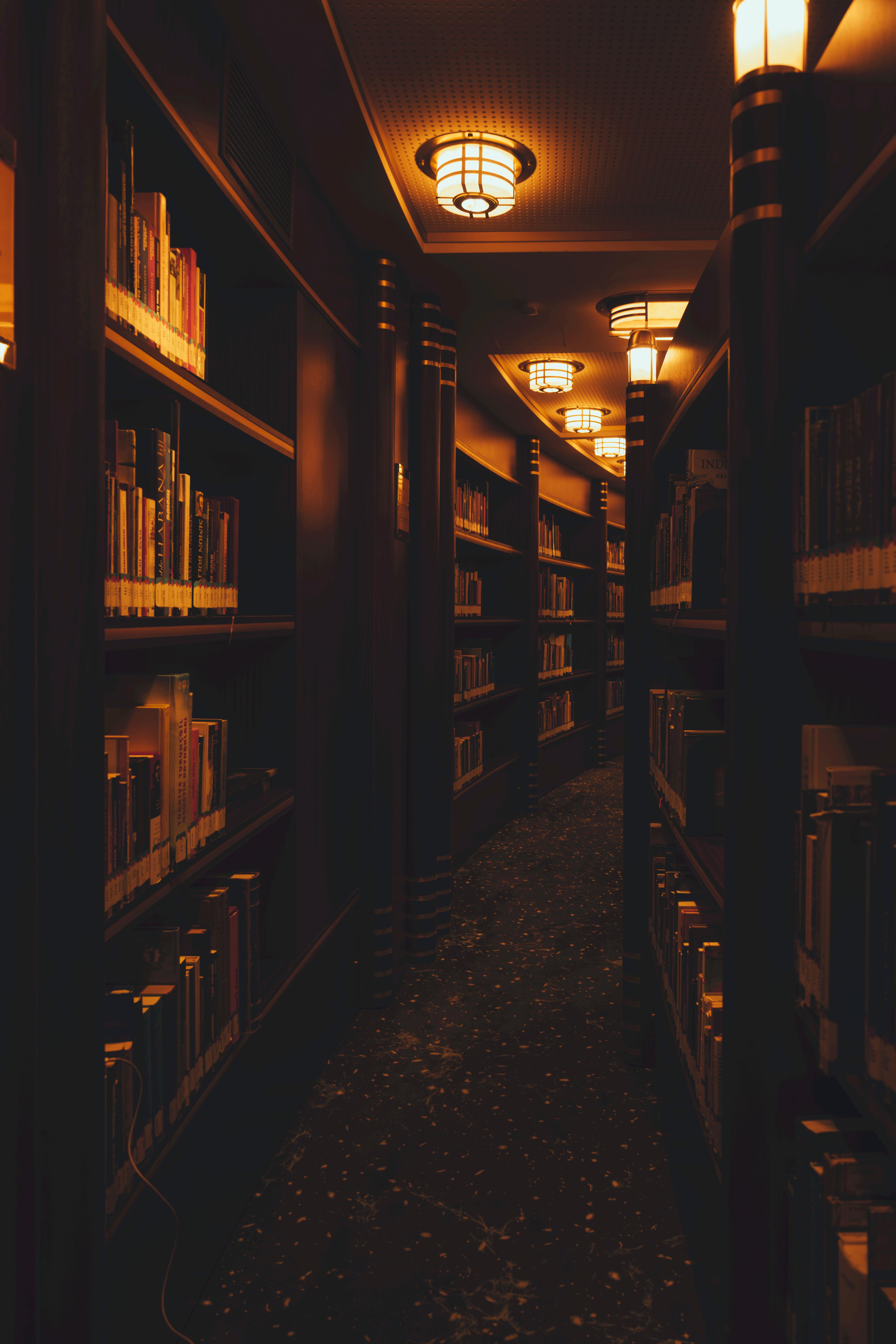 Dimly Lit Library Bookshelves with Warm Lighting · Free Stock Photo