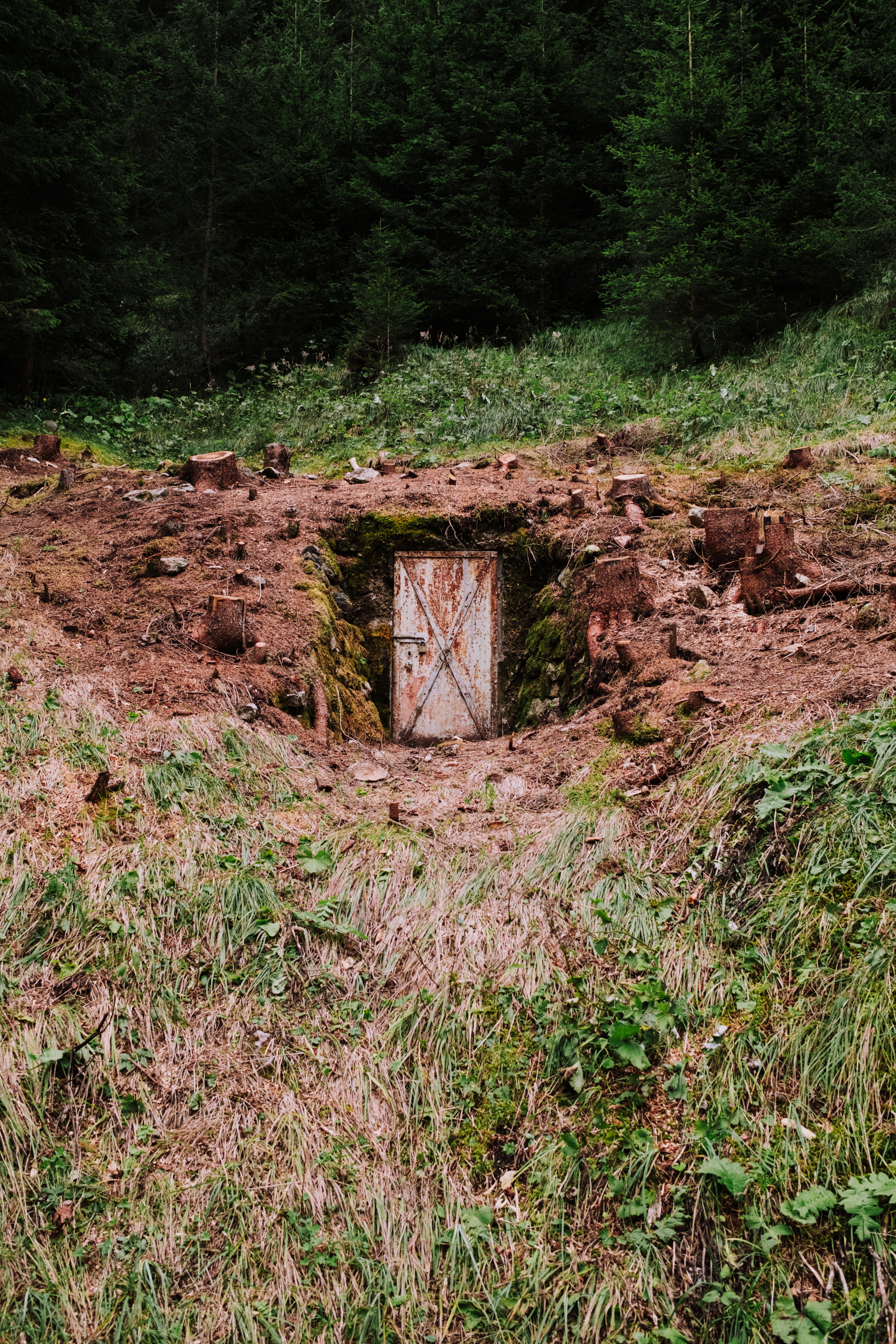 Secret Entrance Photos, Download The BEST Free Secret Entrance Stock ...