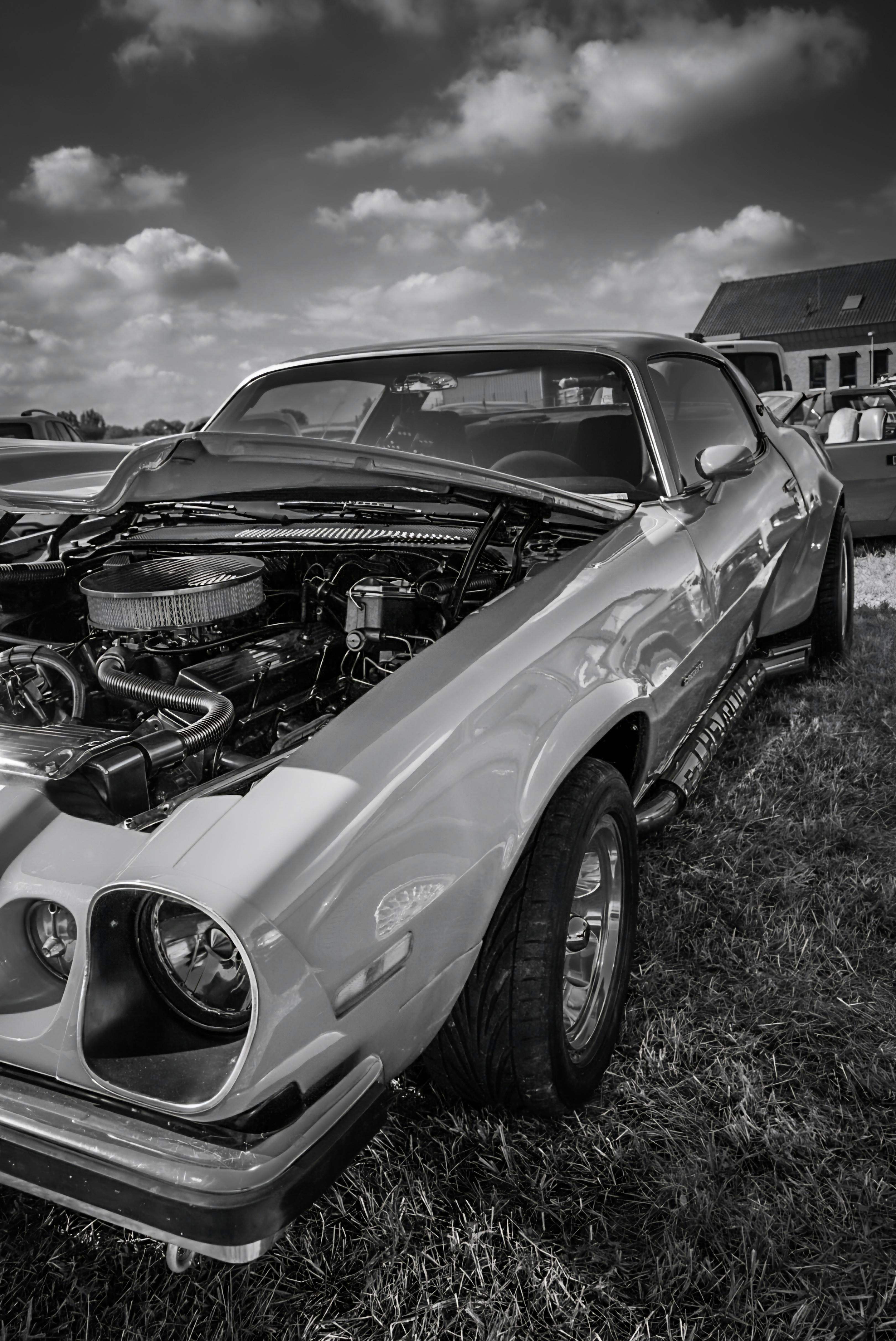 Classic American Muscle Car Showcase · Free Stock Photo