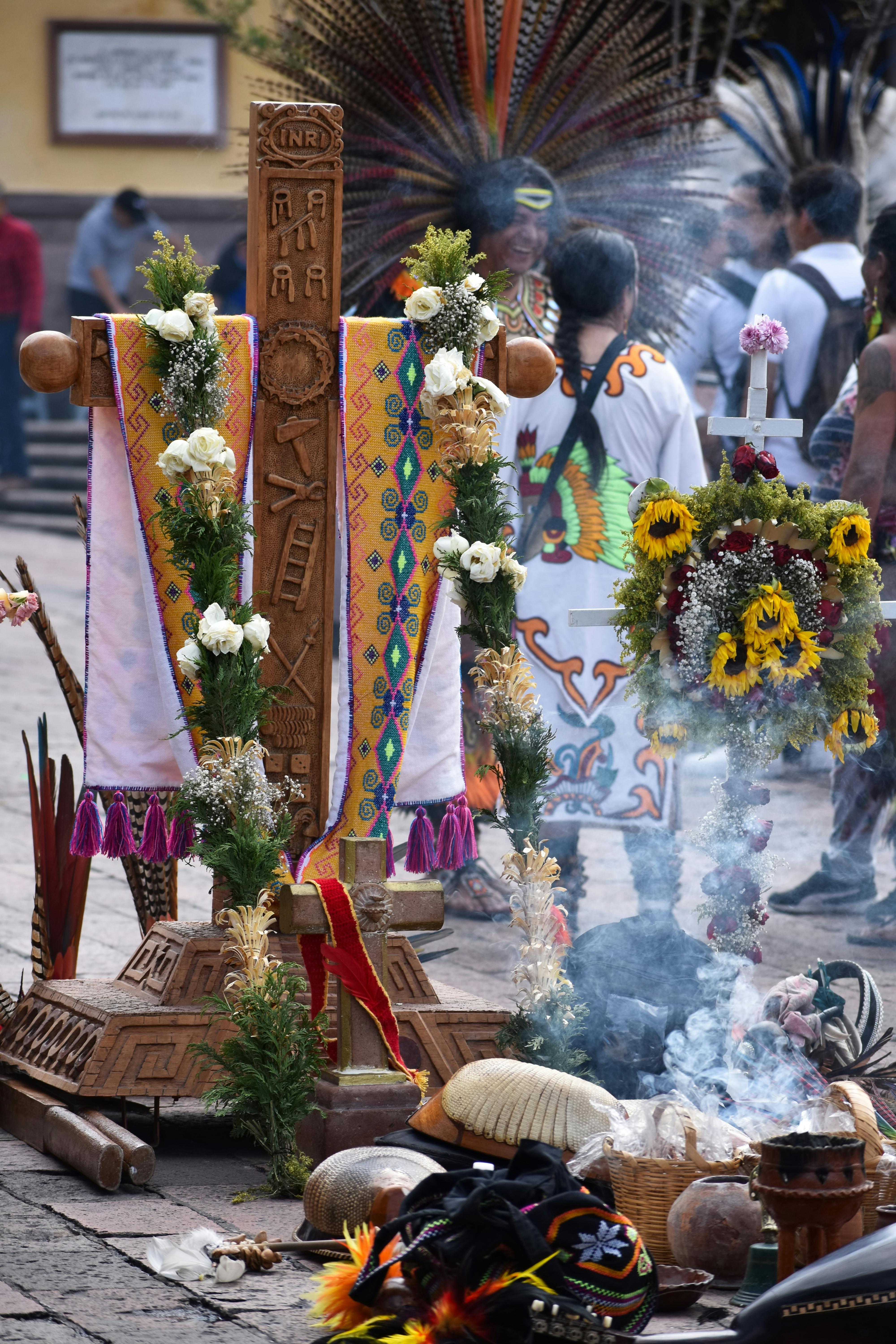 Maya Plants Photos, Download The BEST Free Maya Plants Stock Photos ...