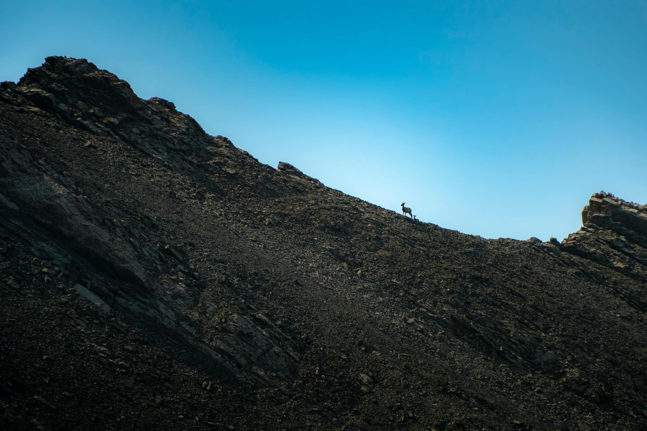 Caleb Park - Photography