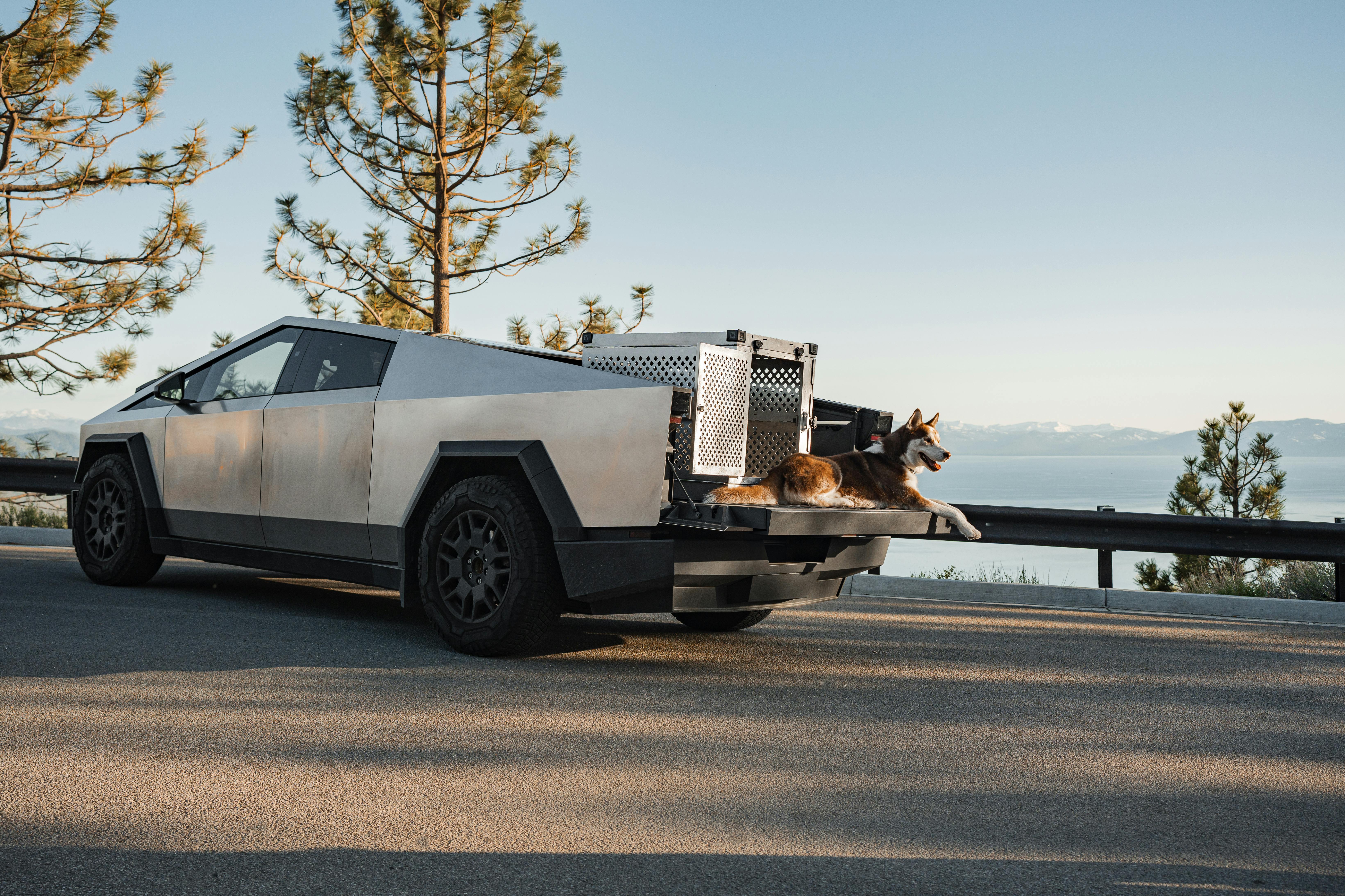 Cybertruck with Dog Overlooking Lake Tahoe · Free Stock Photo