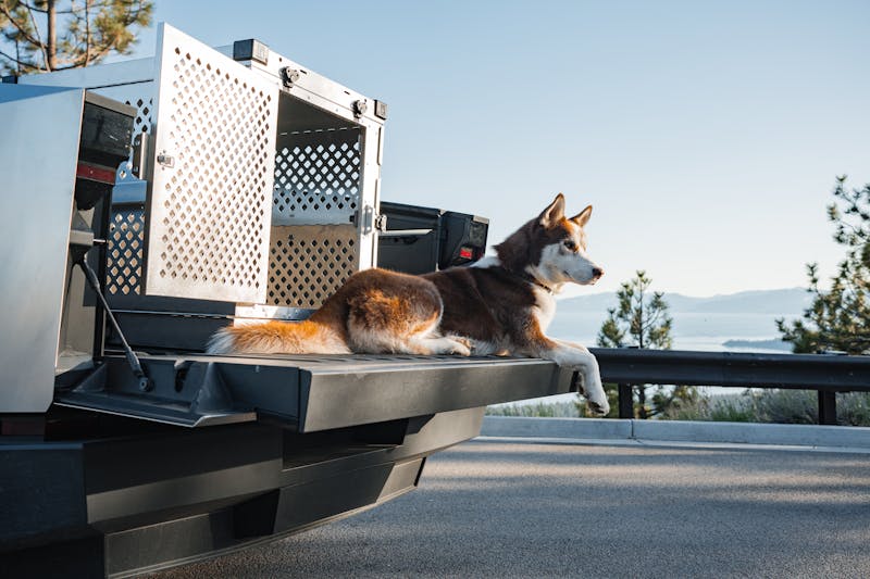 Tesla Launches Exciting New Vehicle Lineup in the Philippines Starting ...