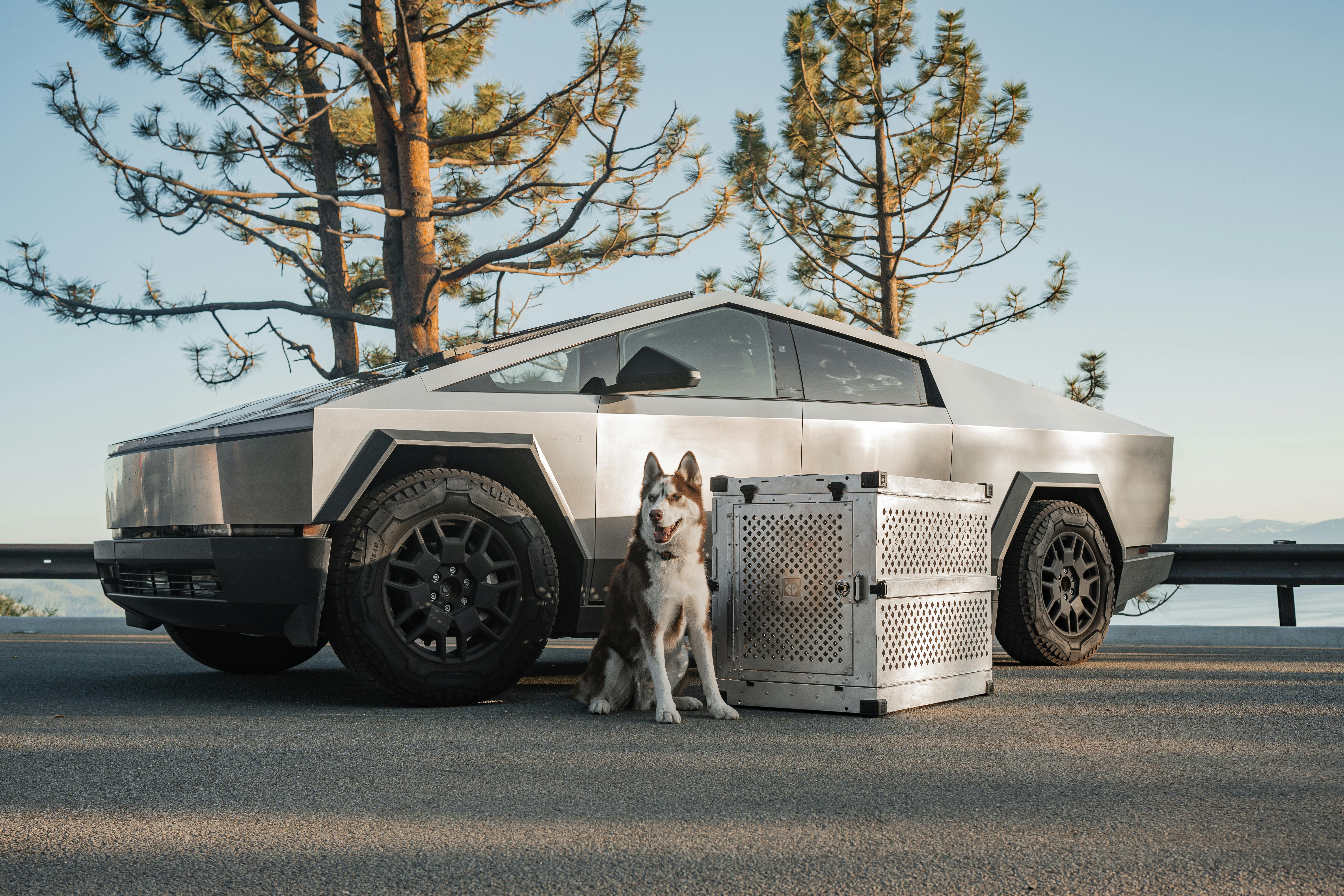 Tesla Cybertruck with Dog and Crate in Nature · Free Stock Photo