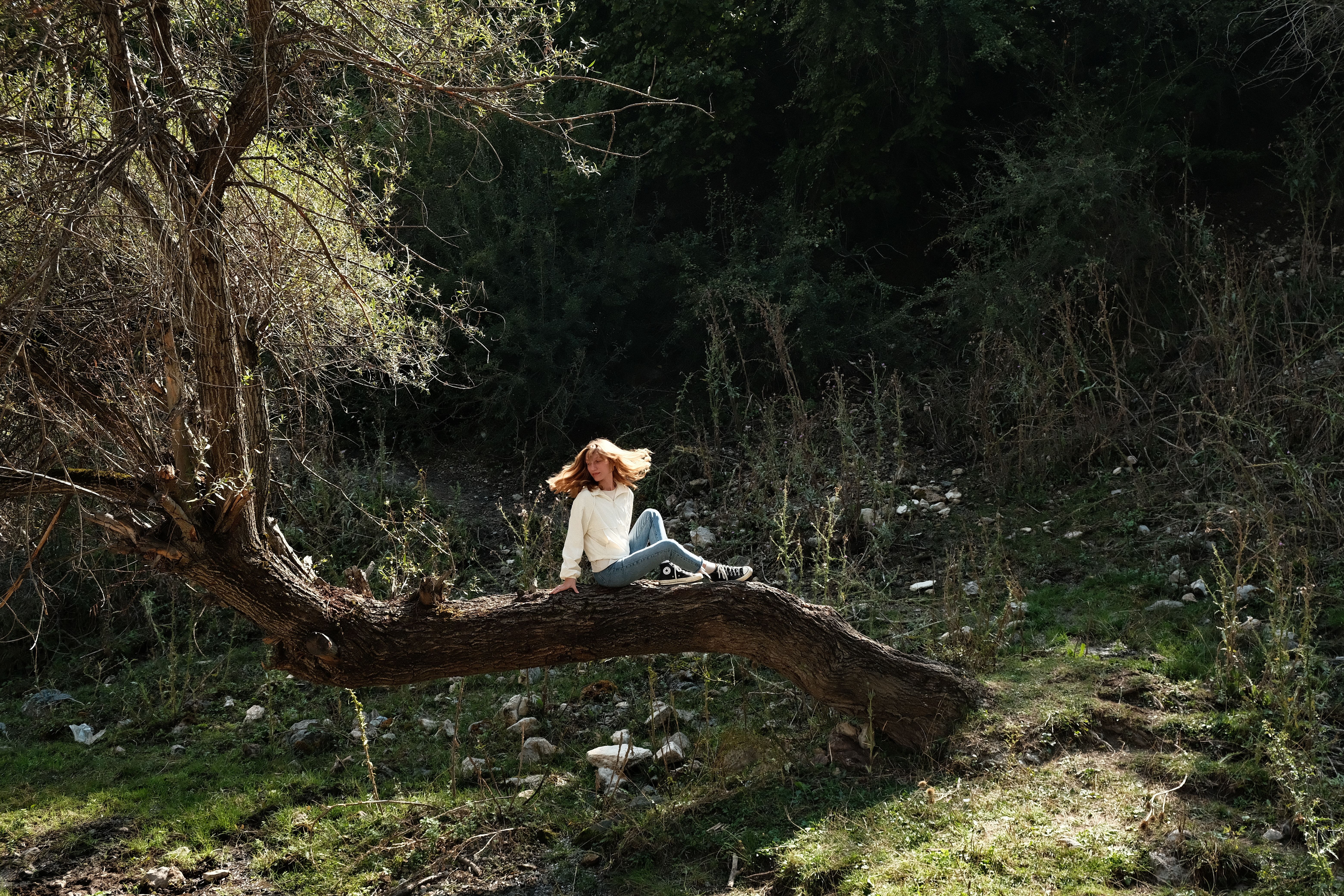 Woman Relaxing on Tree Branch in Forest Clearing · Free Stock Photo