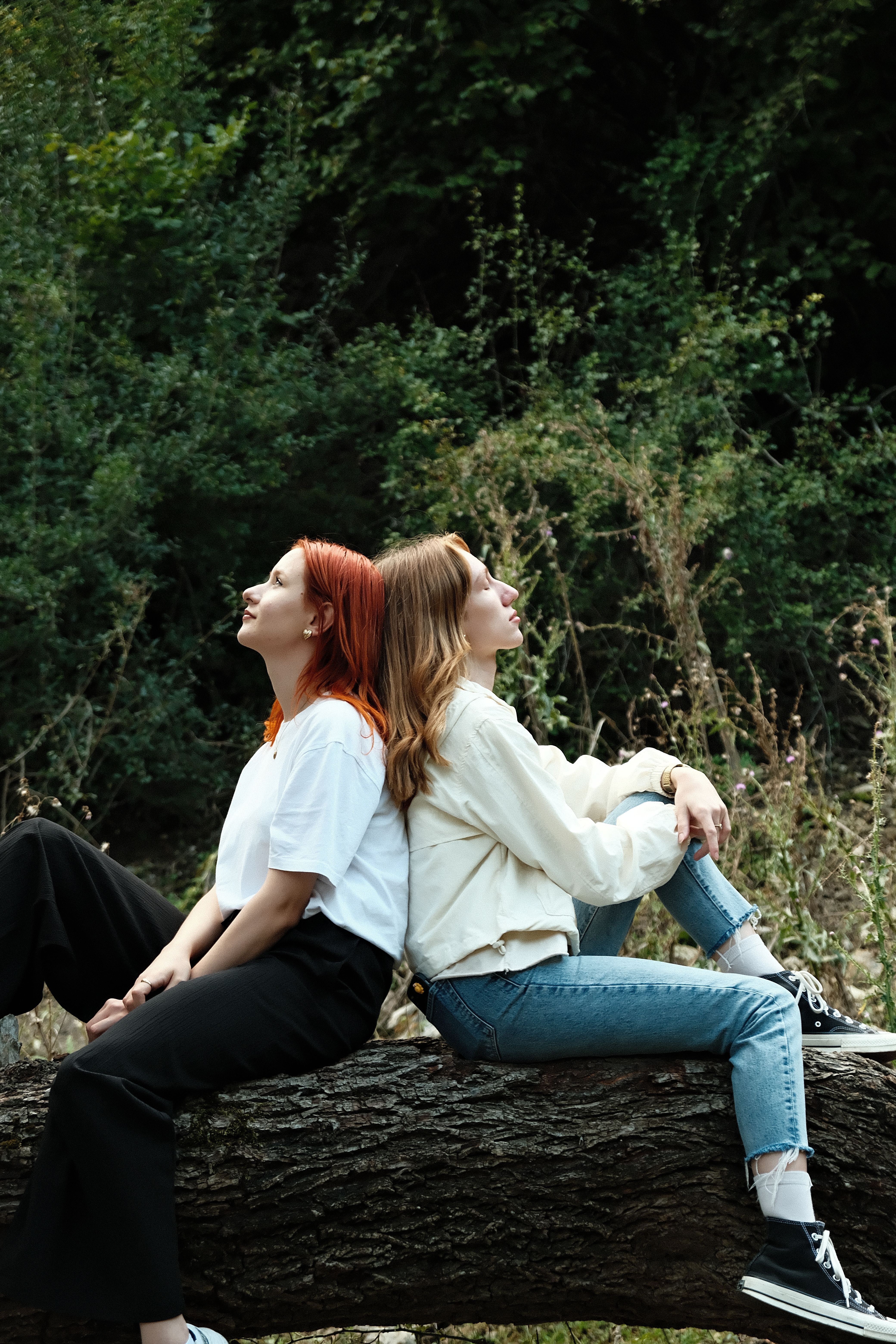 Two Friends Photos, Download The BEST Free Two Friends Stock Photos ...