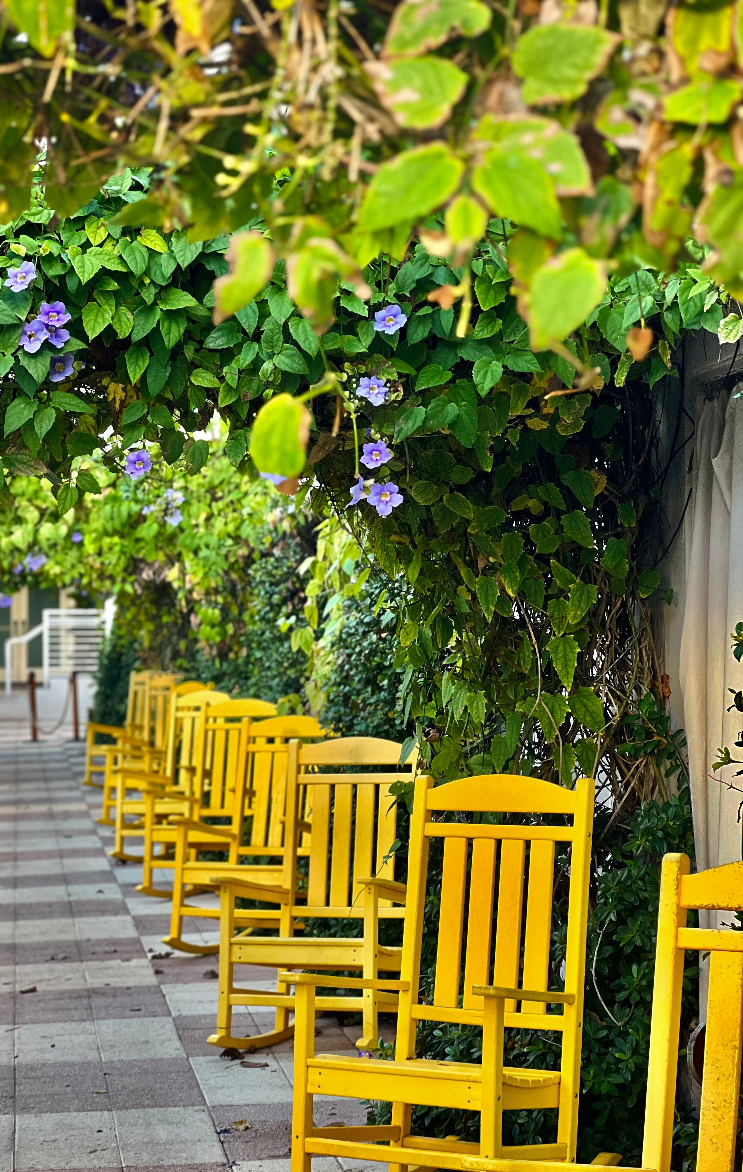 Charming Yellow Rocking Chairs in Lush Garden Pathway · Free Stock Photo