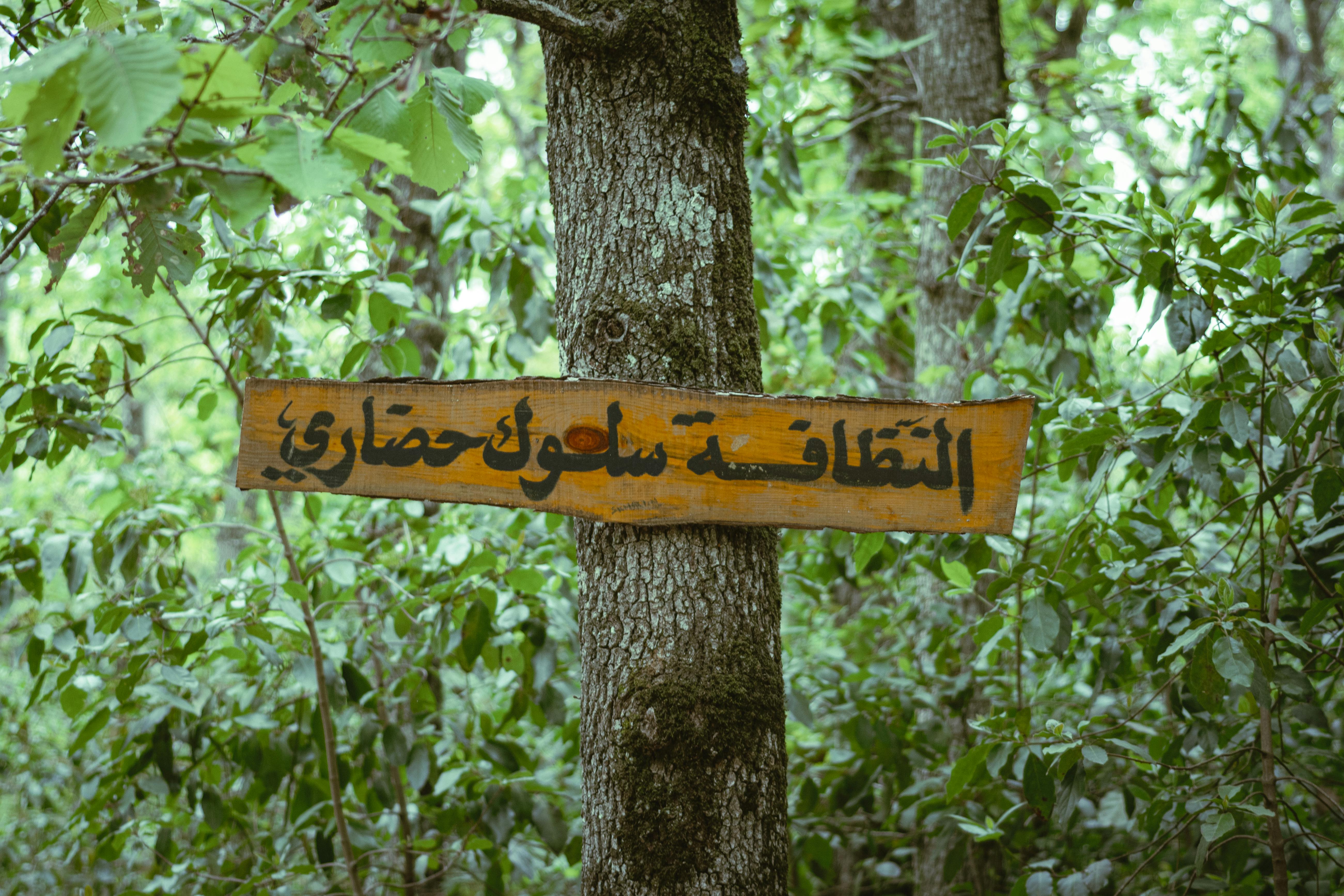 Arabic Sign in Tunisian Forest Setting · Free Stock Photo