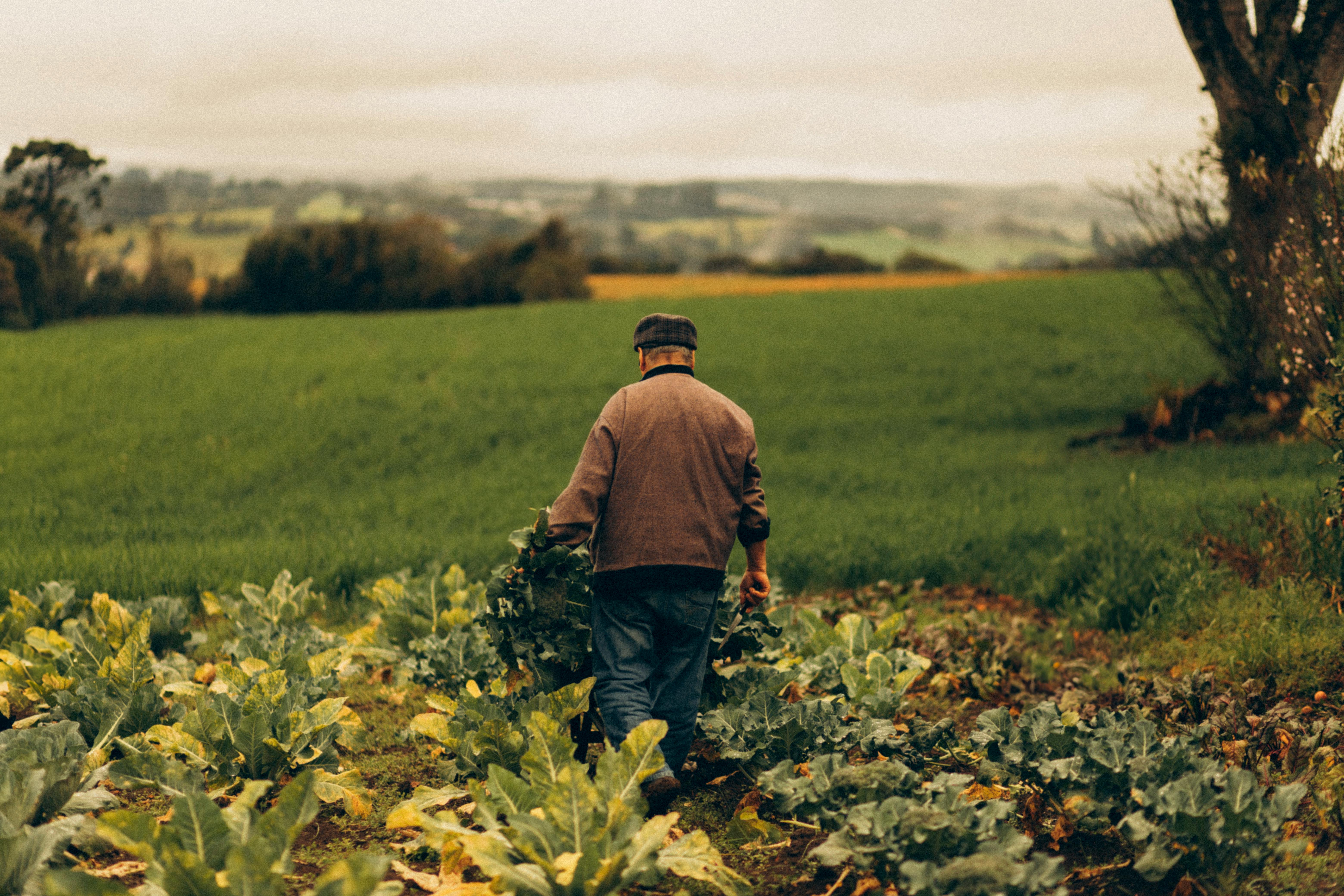 Man Standing on Green Field · Free Stock Photo