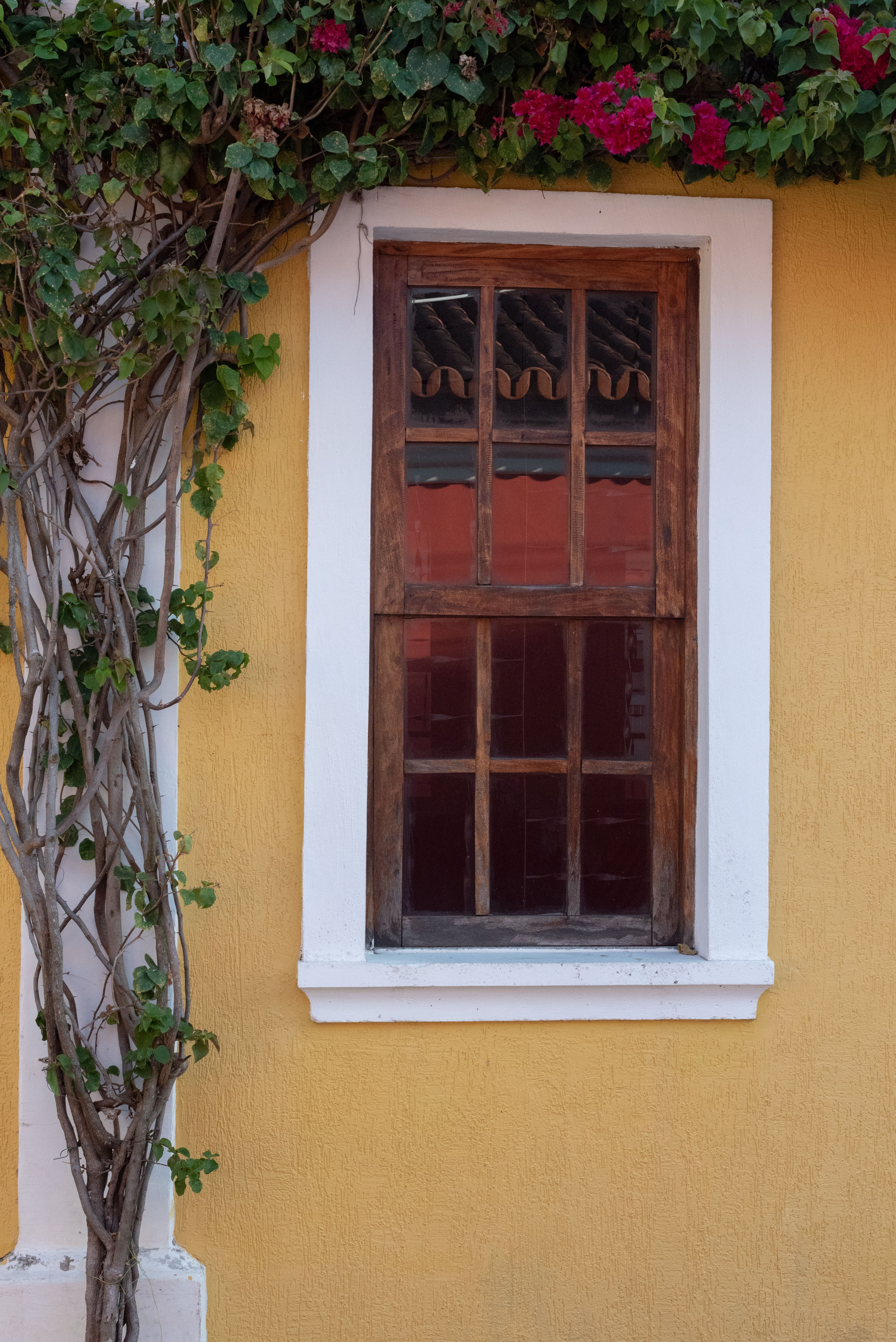 Vibrant Window View in Porto Seguro, Brazil · Free Stock Photo