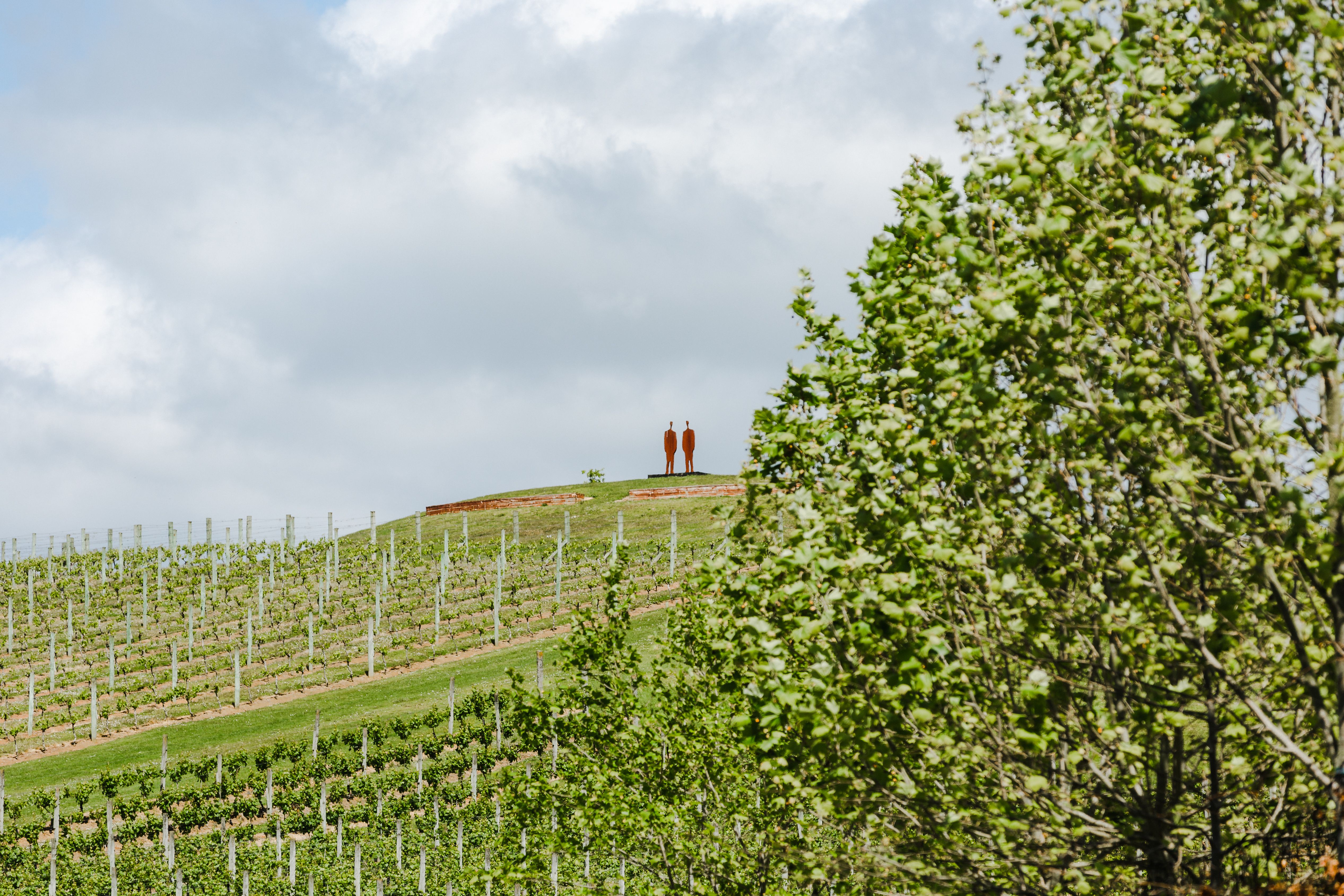 Scenic Vineyard with Hilltop Statues in Spring · Free Stock Photo
