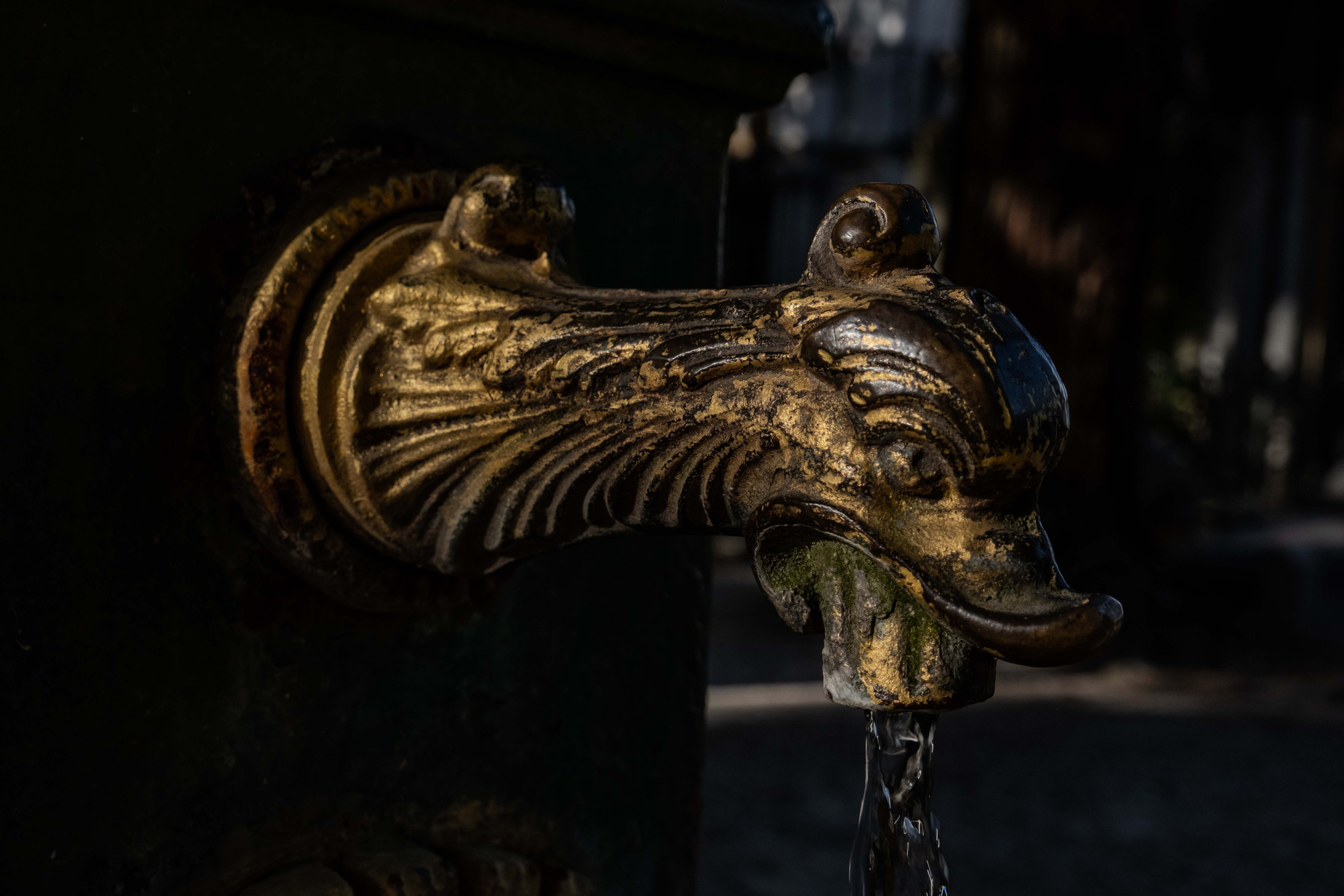 Ornate Brass Water Spout in Shadowed Garden · Free Stock Photo