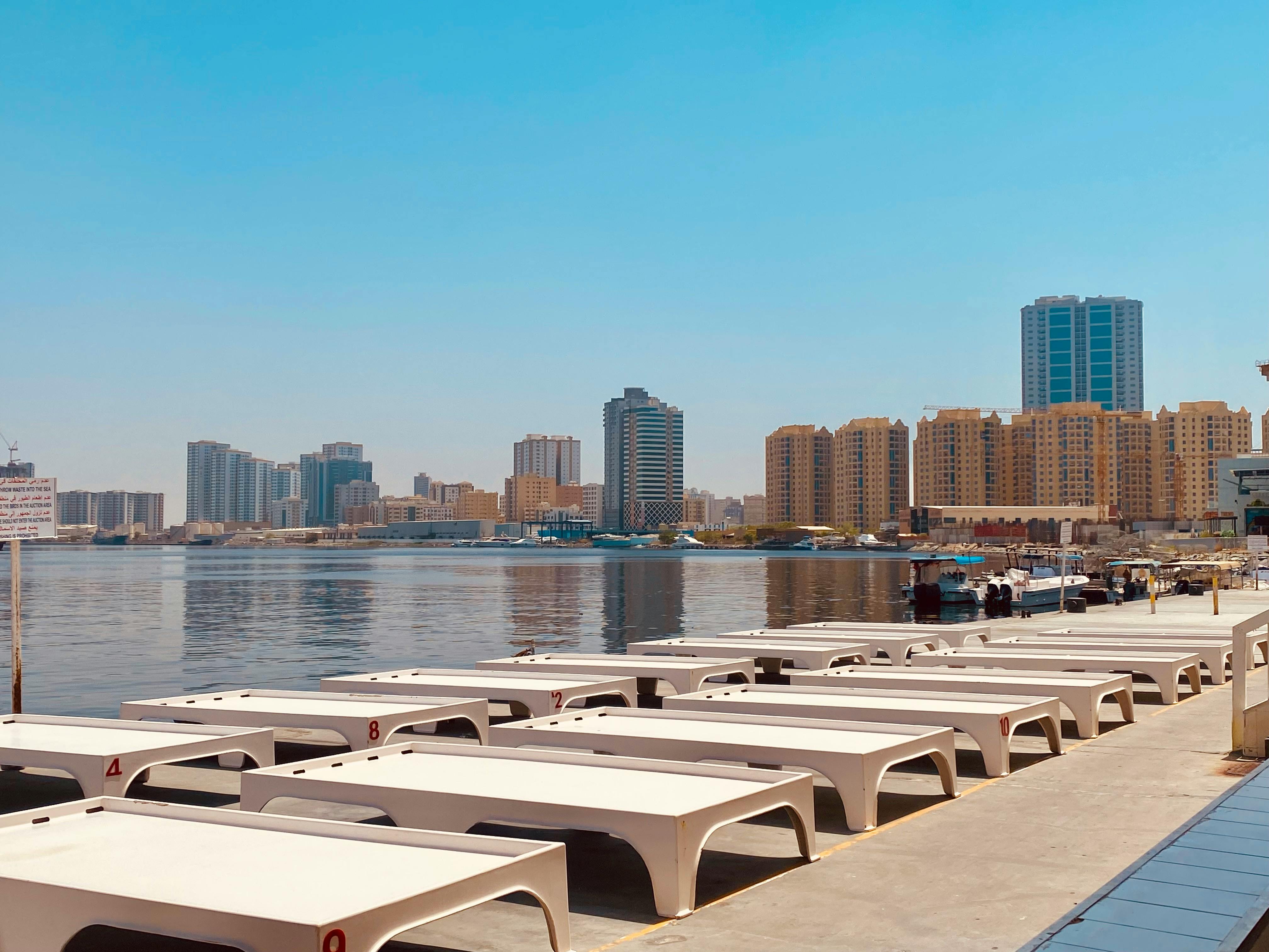 Tamer Selim - Photography