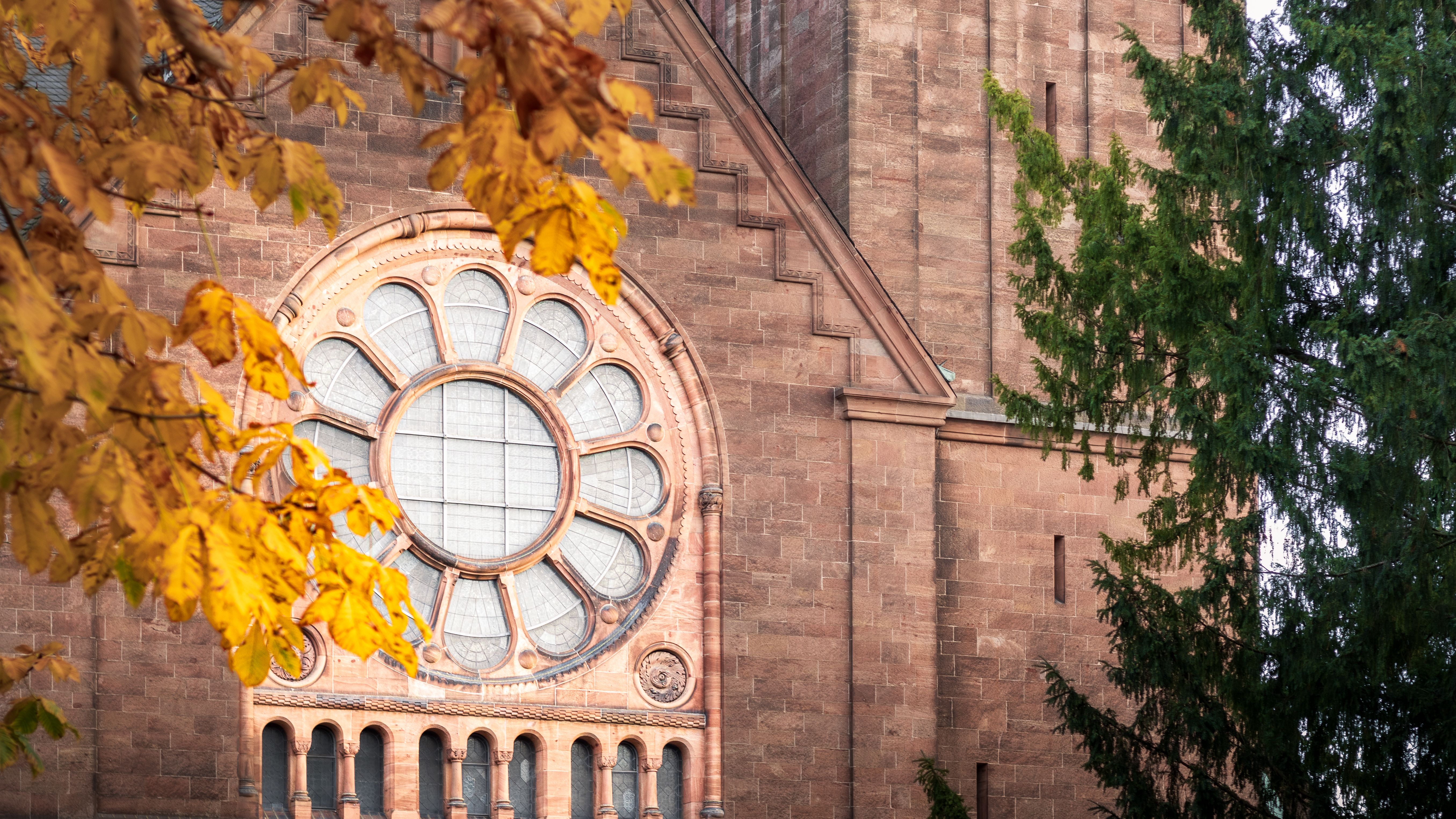 Historic Church with Stained Glass Rose Window in Autumn · Free Stock Photo