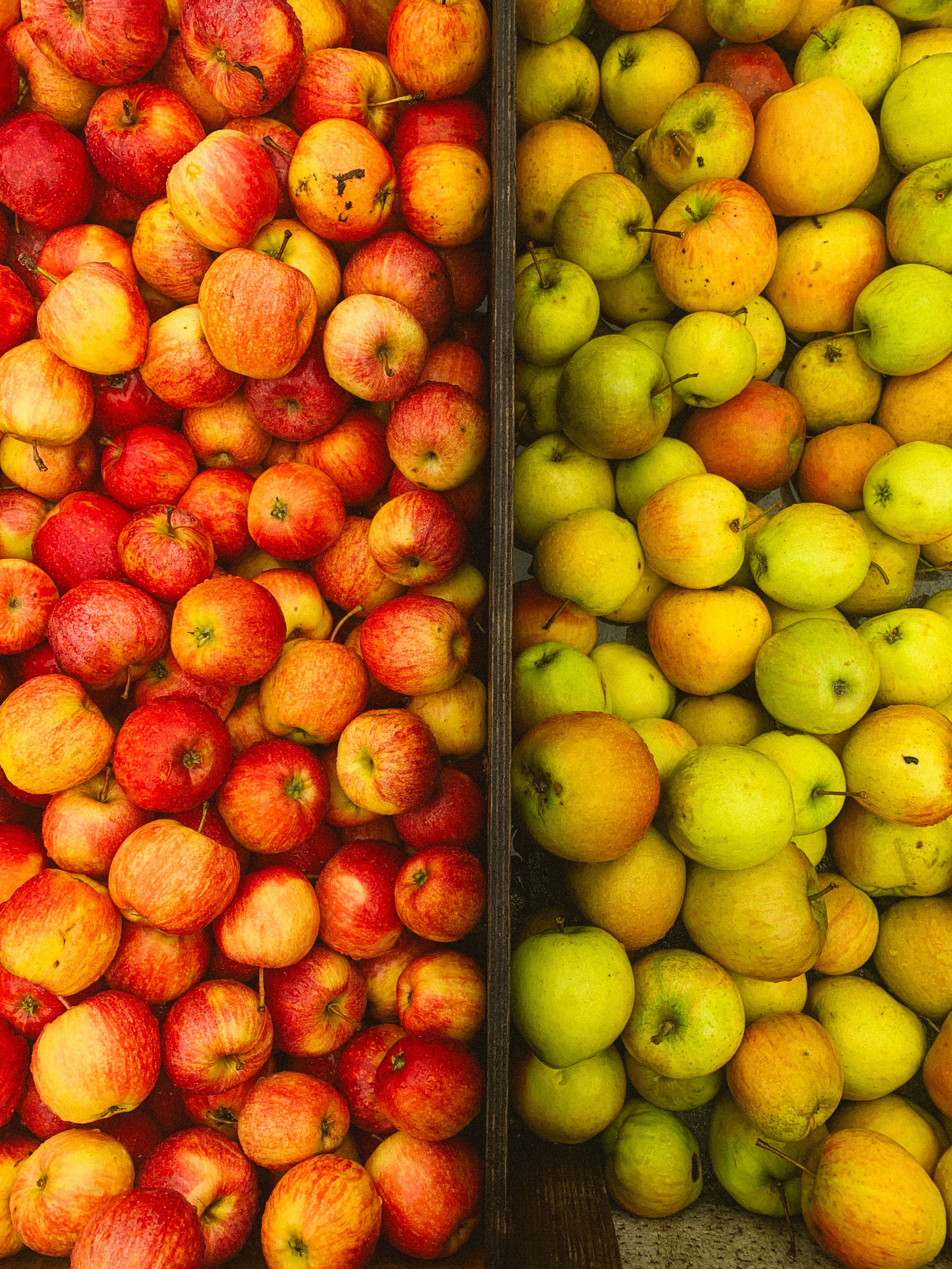 Vibrant Display of Red and Green Apples in Düsseldorf · Free Stock Photo