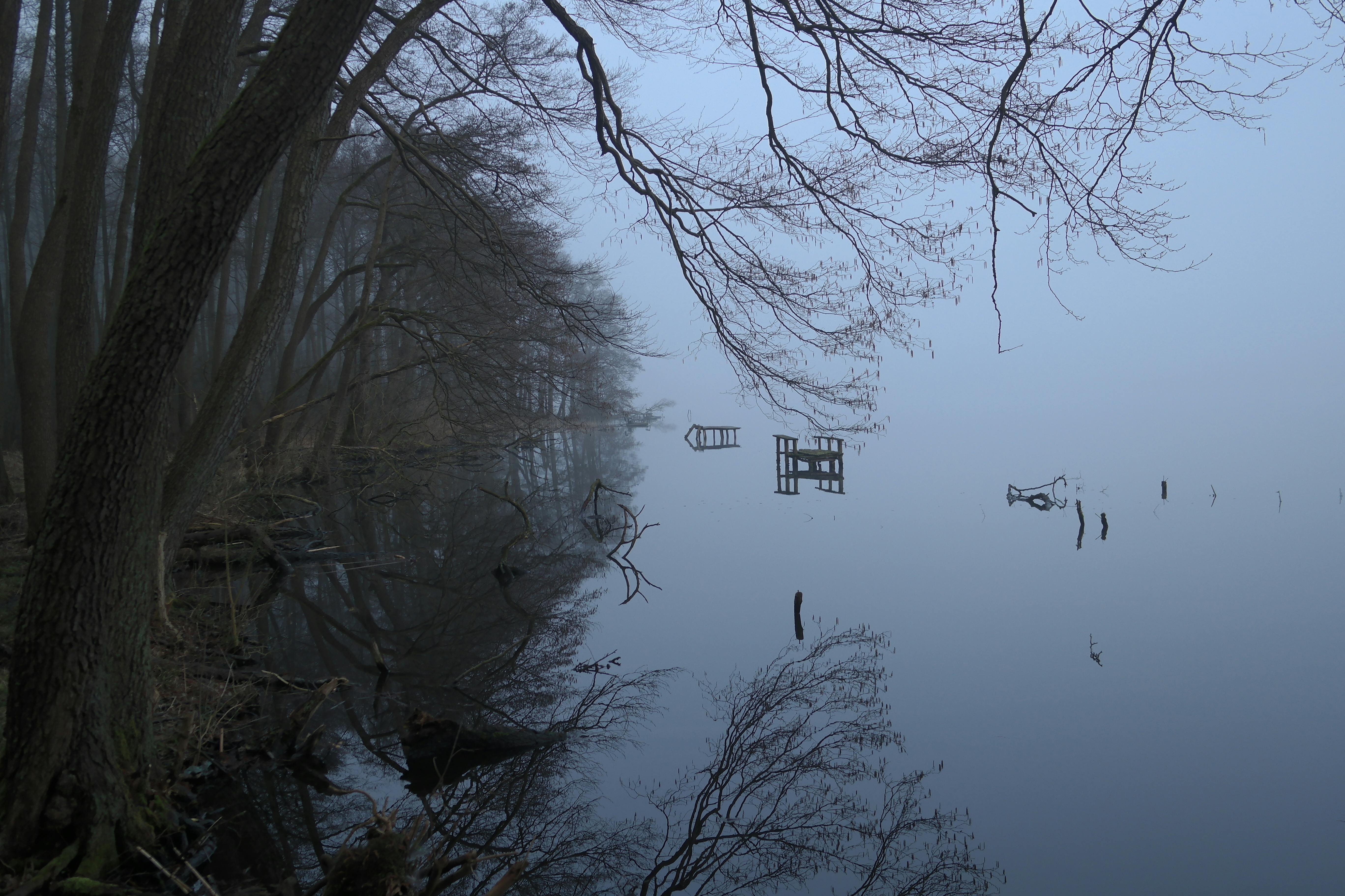 Landscape Photography of Lake · Free Stock Photo