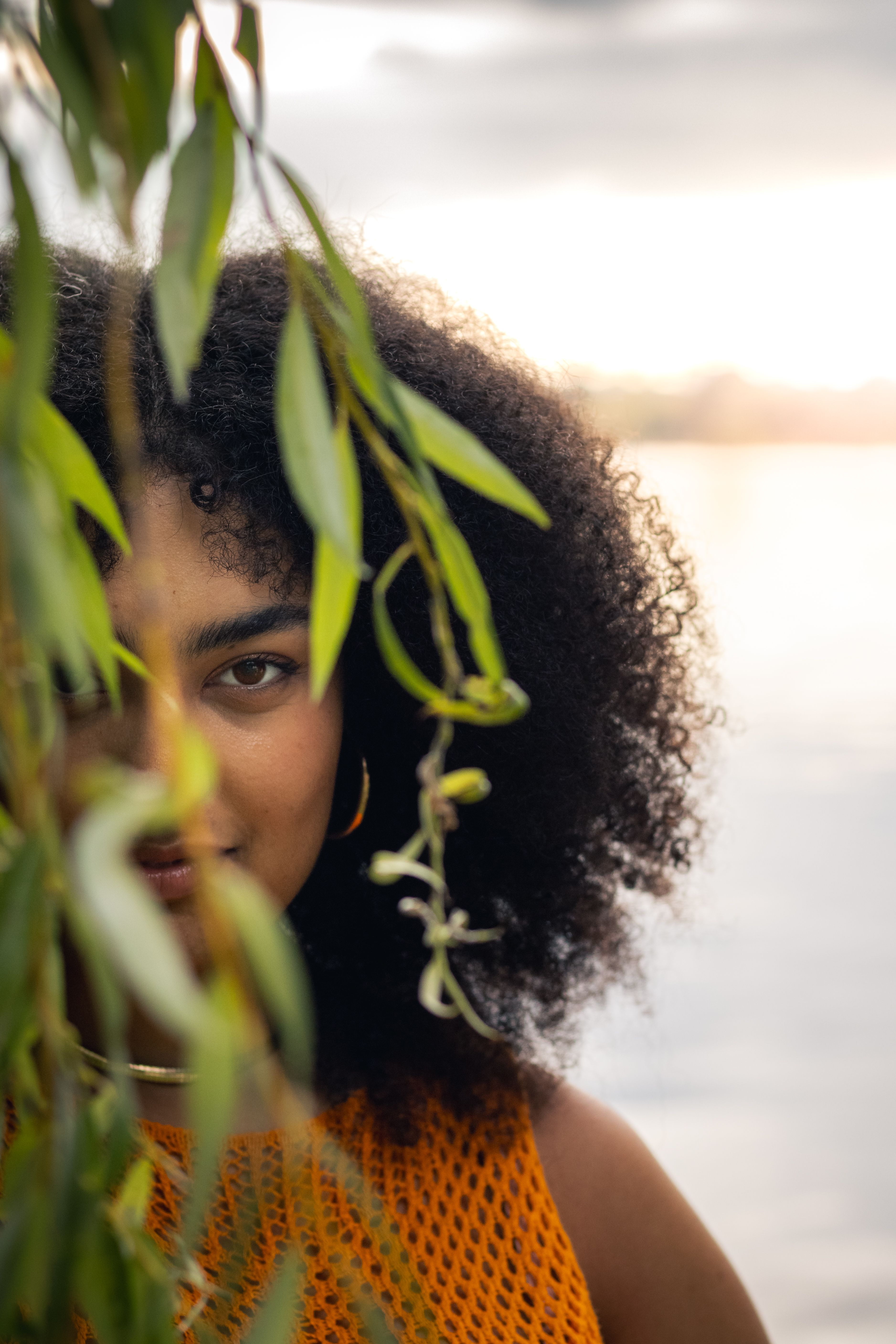 Sunset Portrait by Water with Foliage · Free Stock Photo