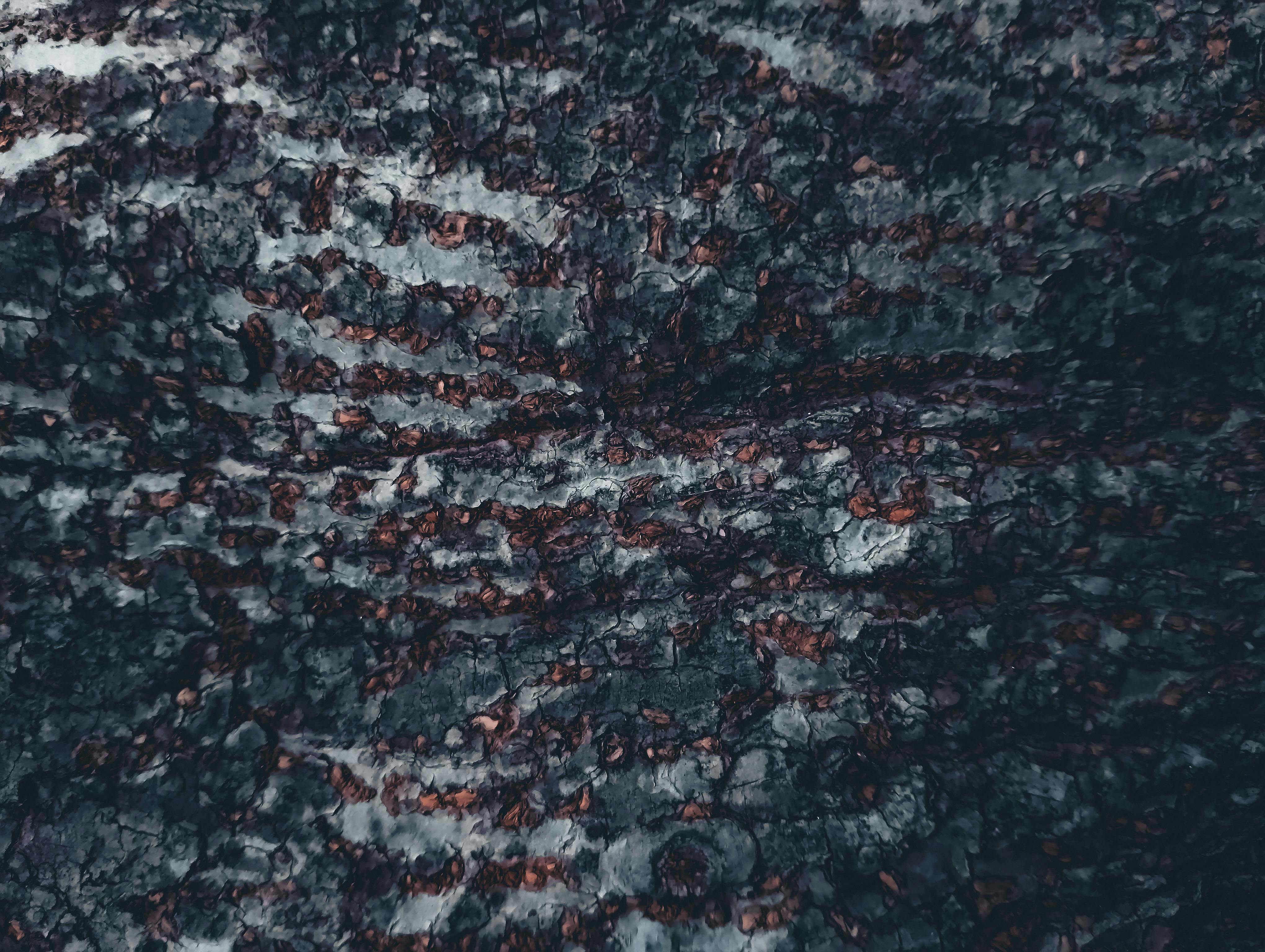 Abstract Tree Bark Texture Close-Up in India · Free Stock Photo