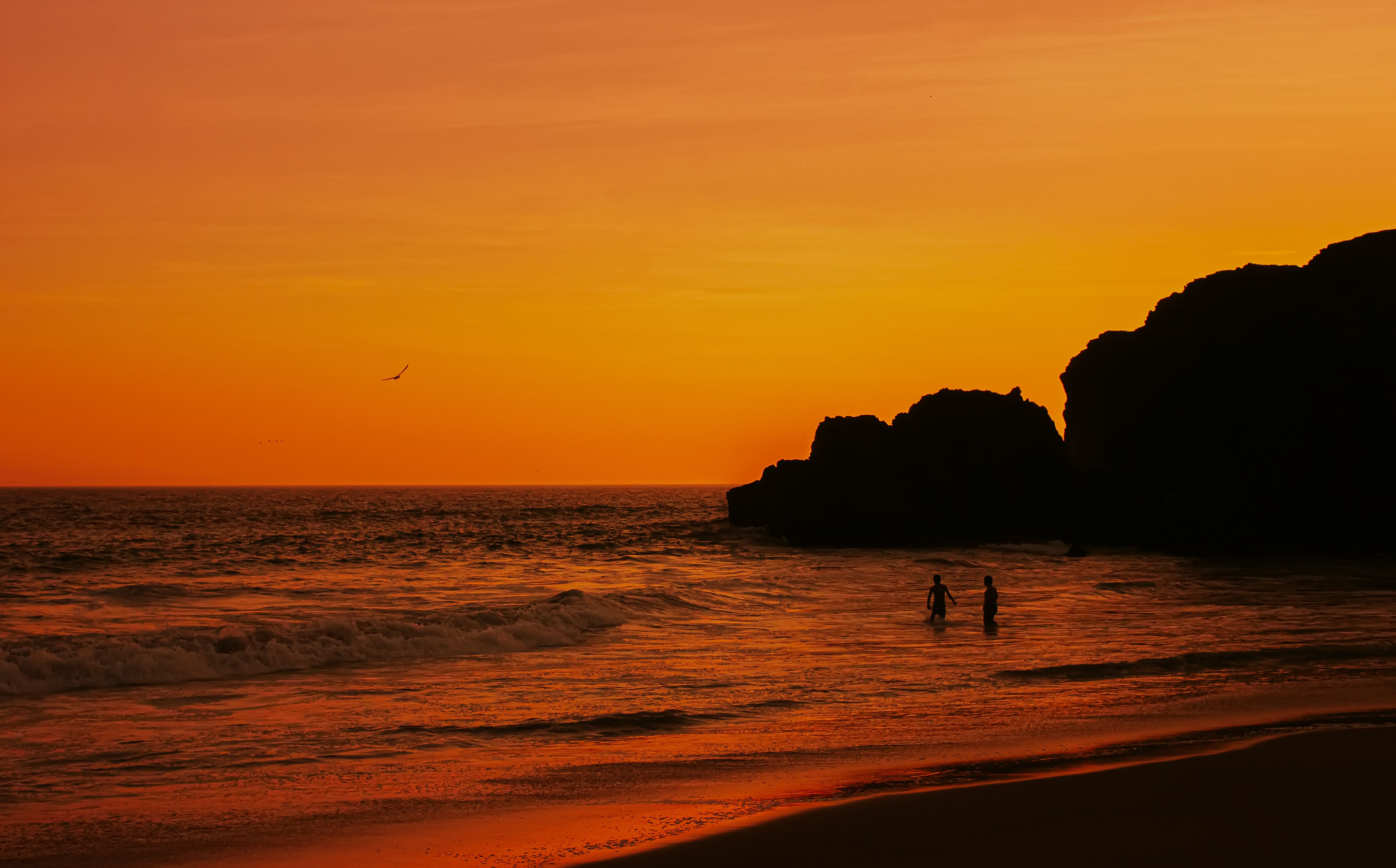 Serene Beach Sunset with Silhouetted Figures · Free Stock Photo