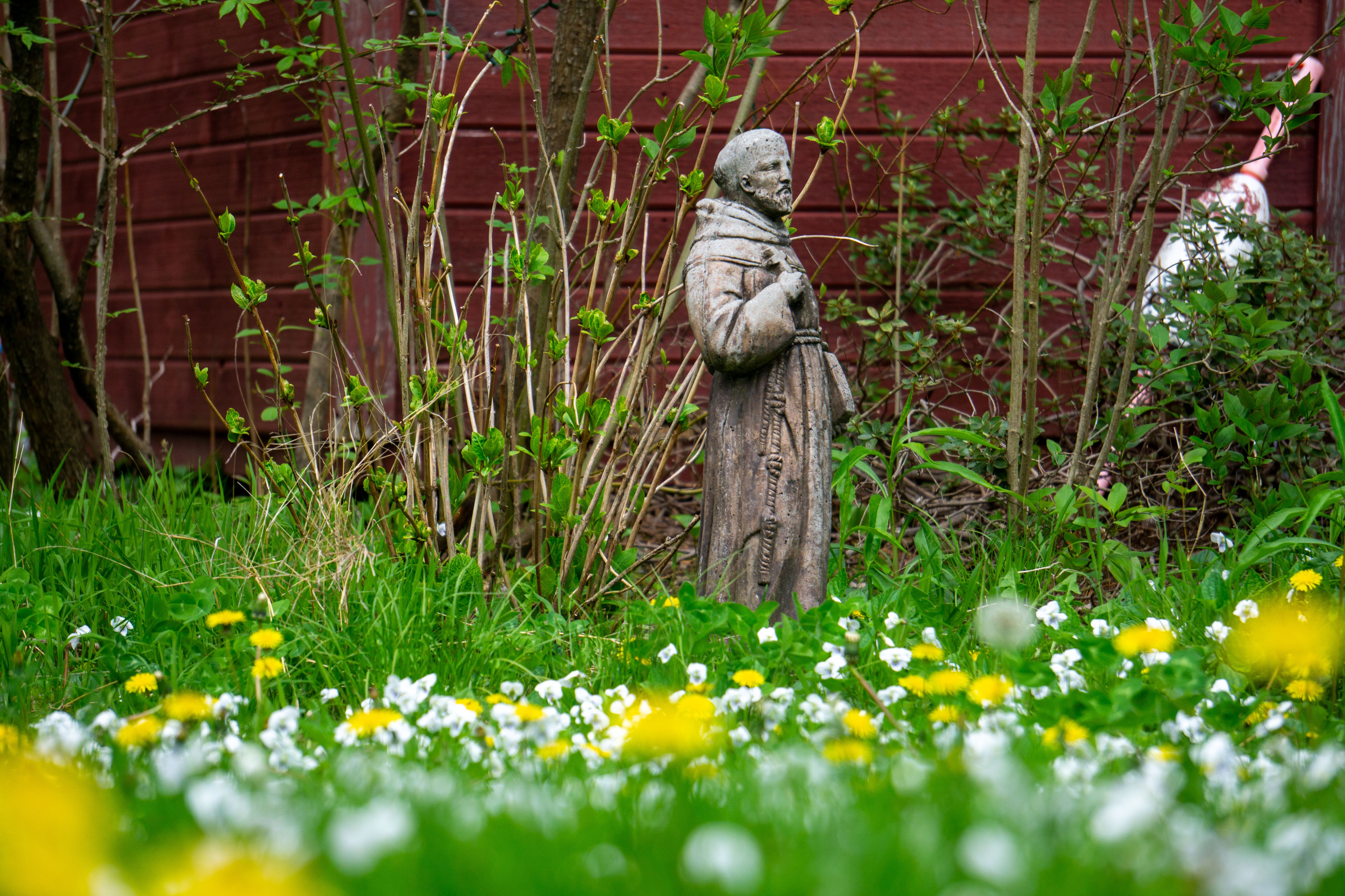Serene Garden Statue Amidst Spring Blooms · Free Stock Photo