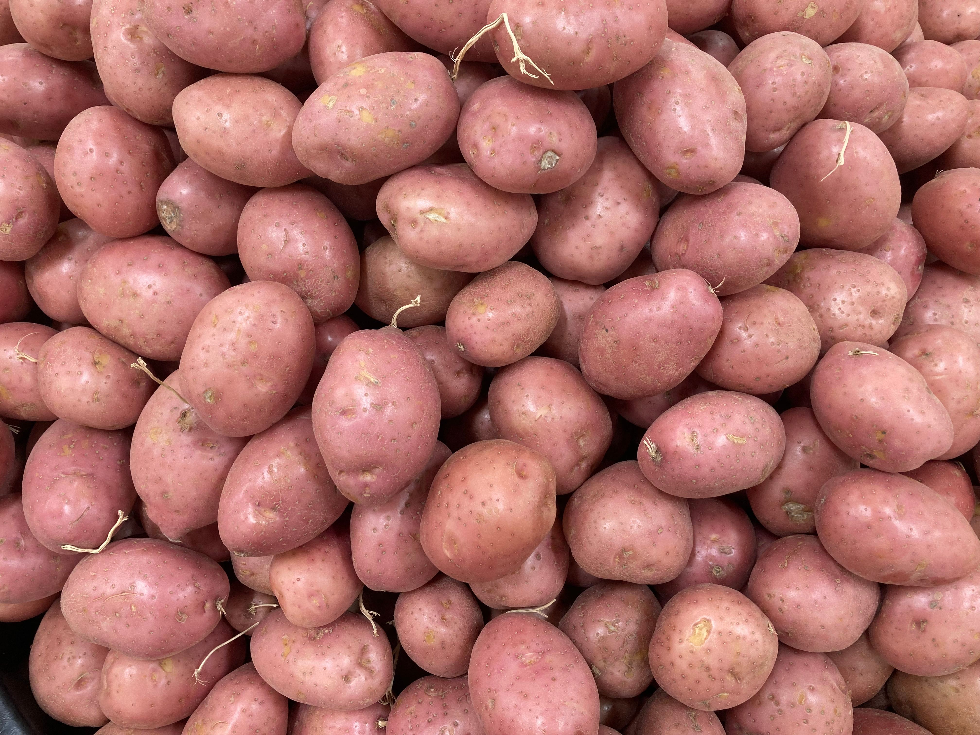 Heap of Fresh Red Potatoes for Cooking · Free Stock Photo