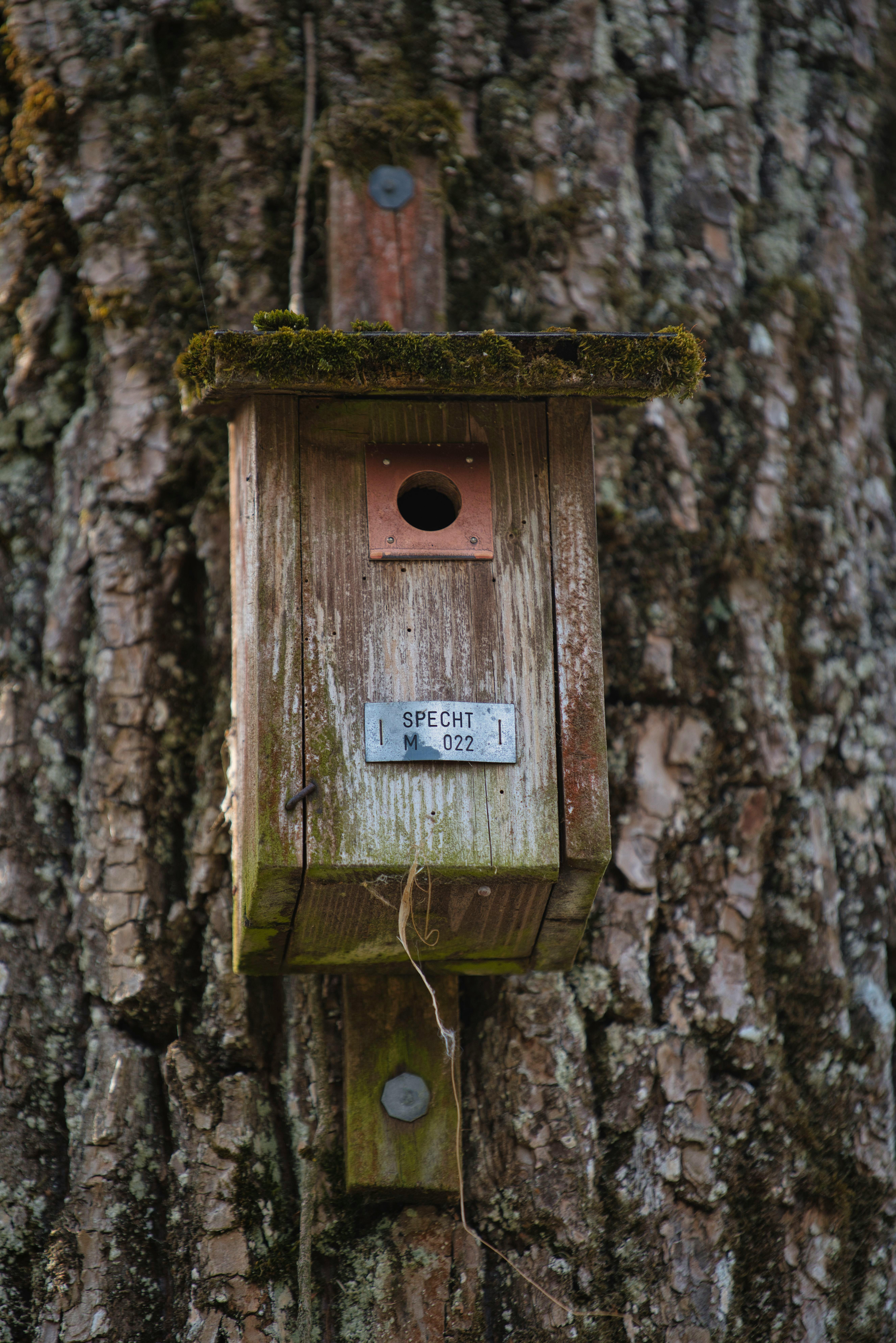 White Birdhouse · Free Stock Photo