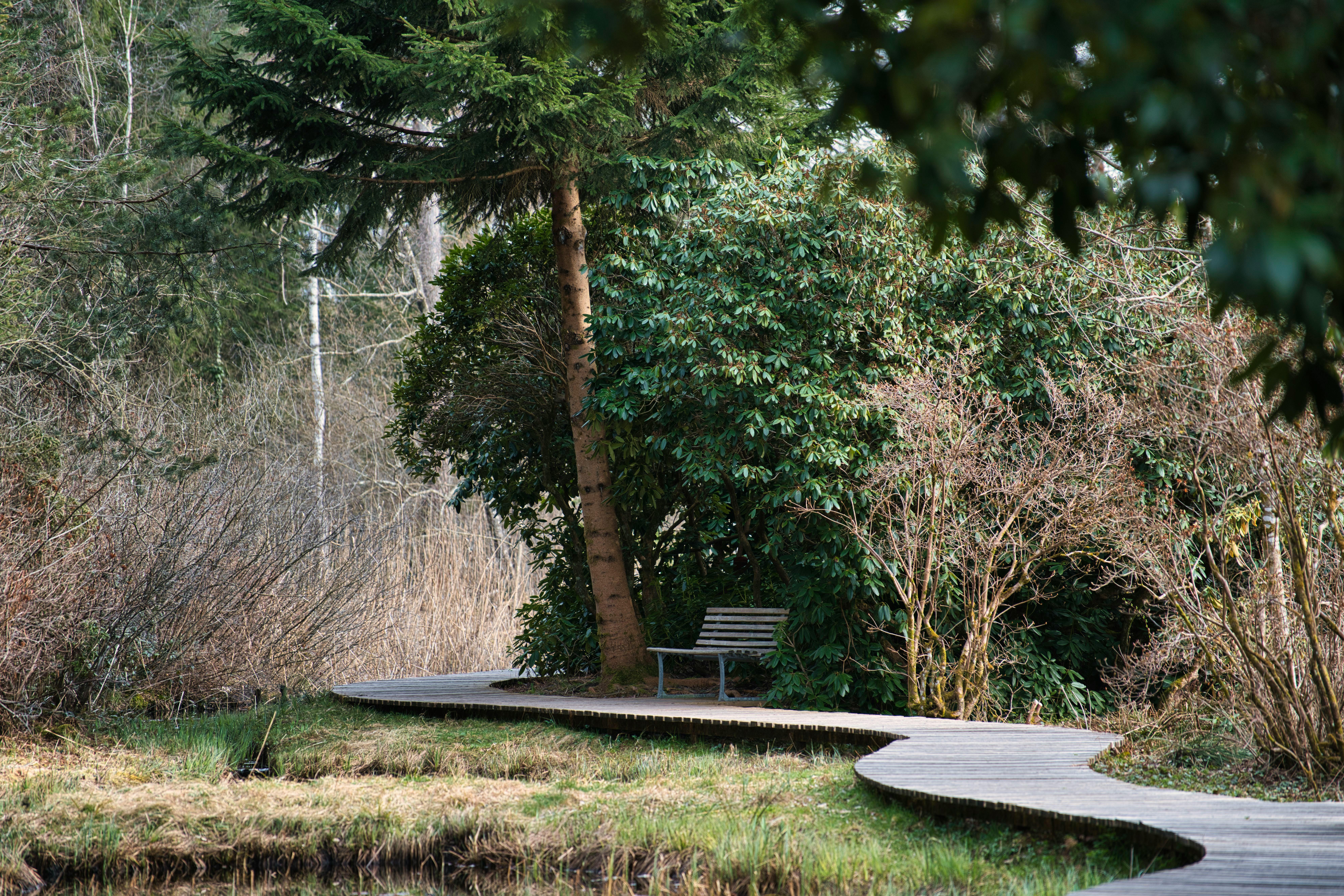 Pathway Winding Photos, Download The BEST Free Pathway Winding Stock ...