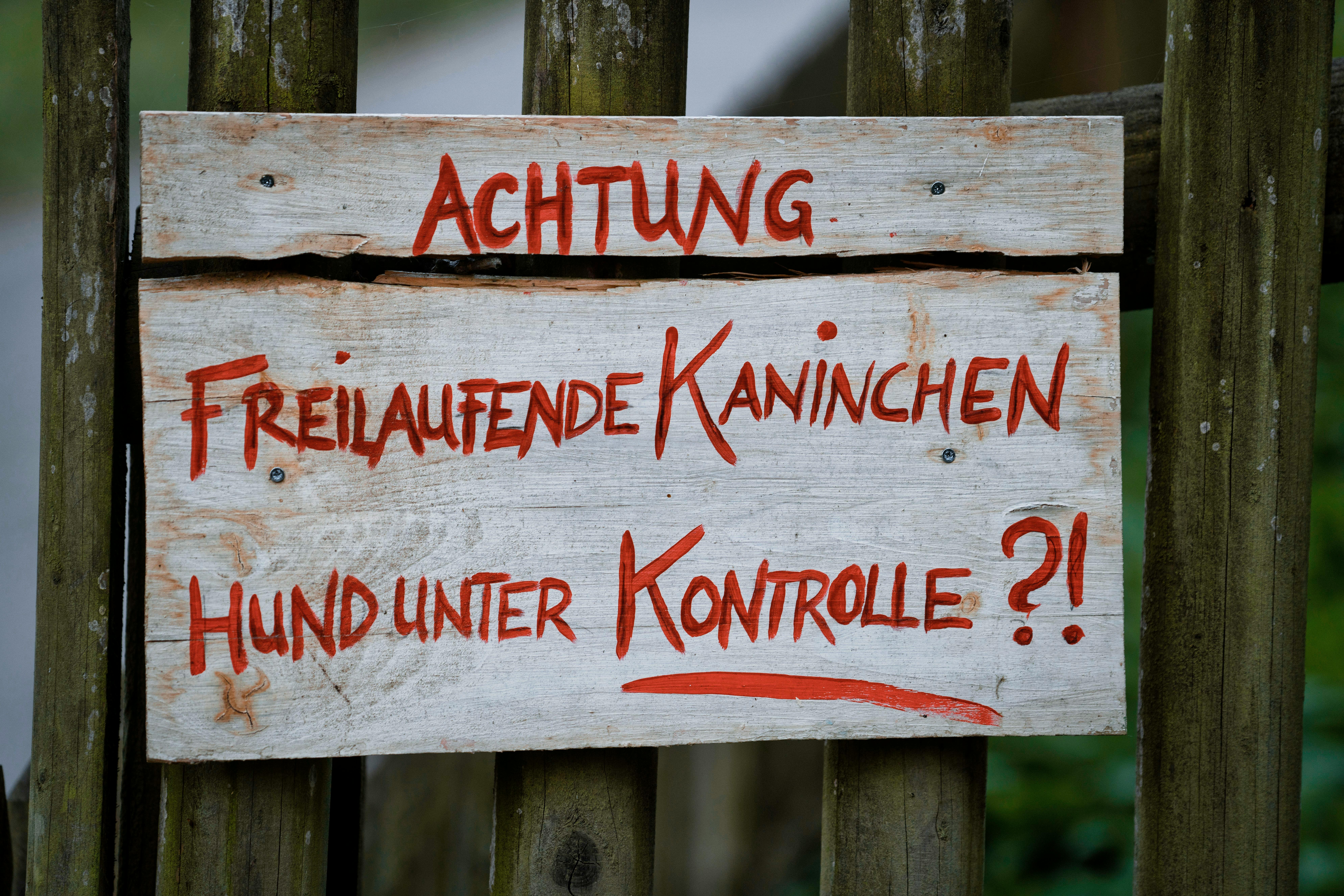 Warning Sign with Rabbit Caution Message · Free Stock Photo