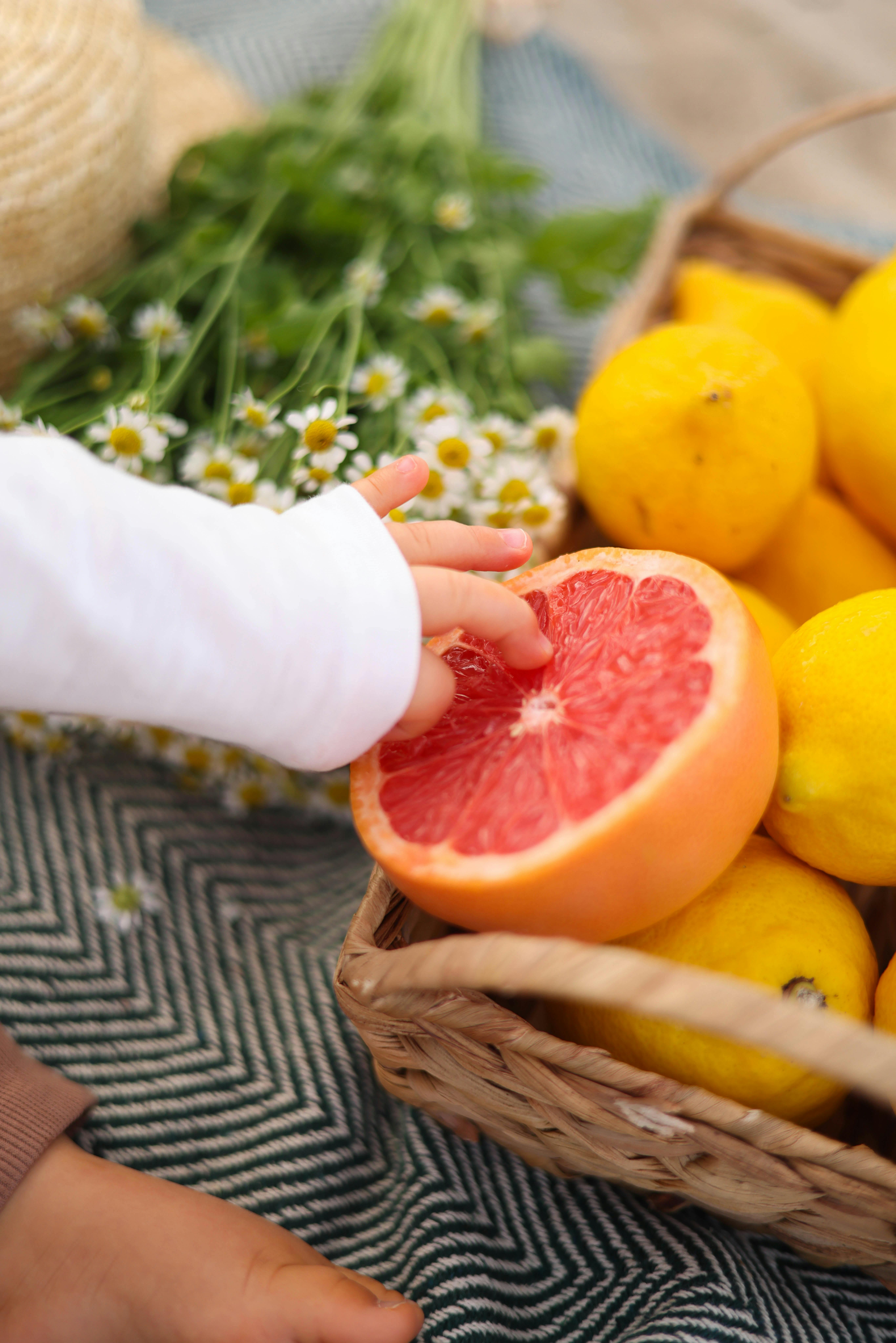 Child's Hand Reaching for Fresh Grapefruit · Free Stock Photo
