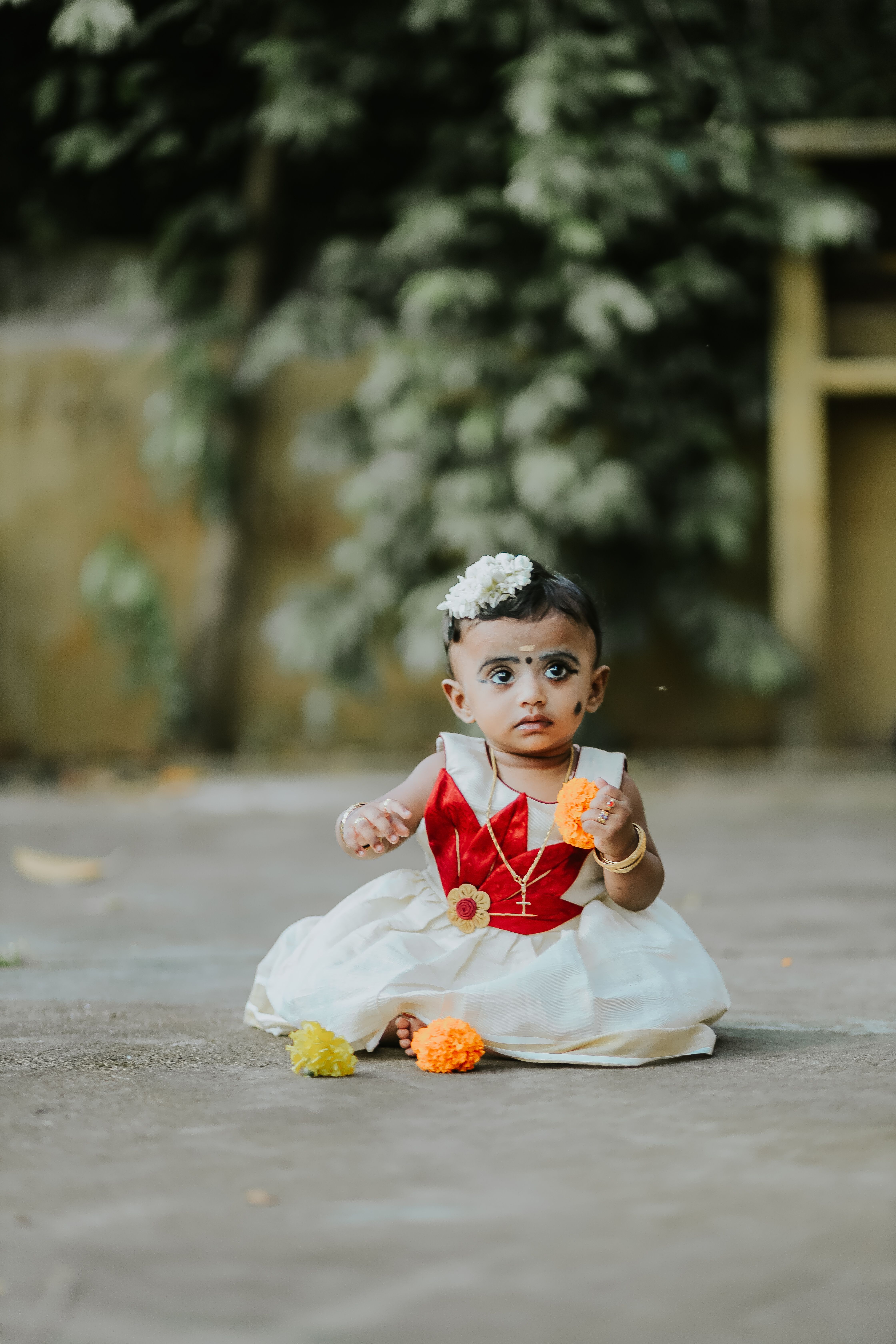 100.000+ melhores imagens de Bebê Estorninho · Download 100% grátis ...