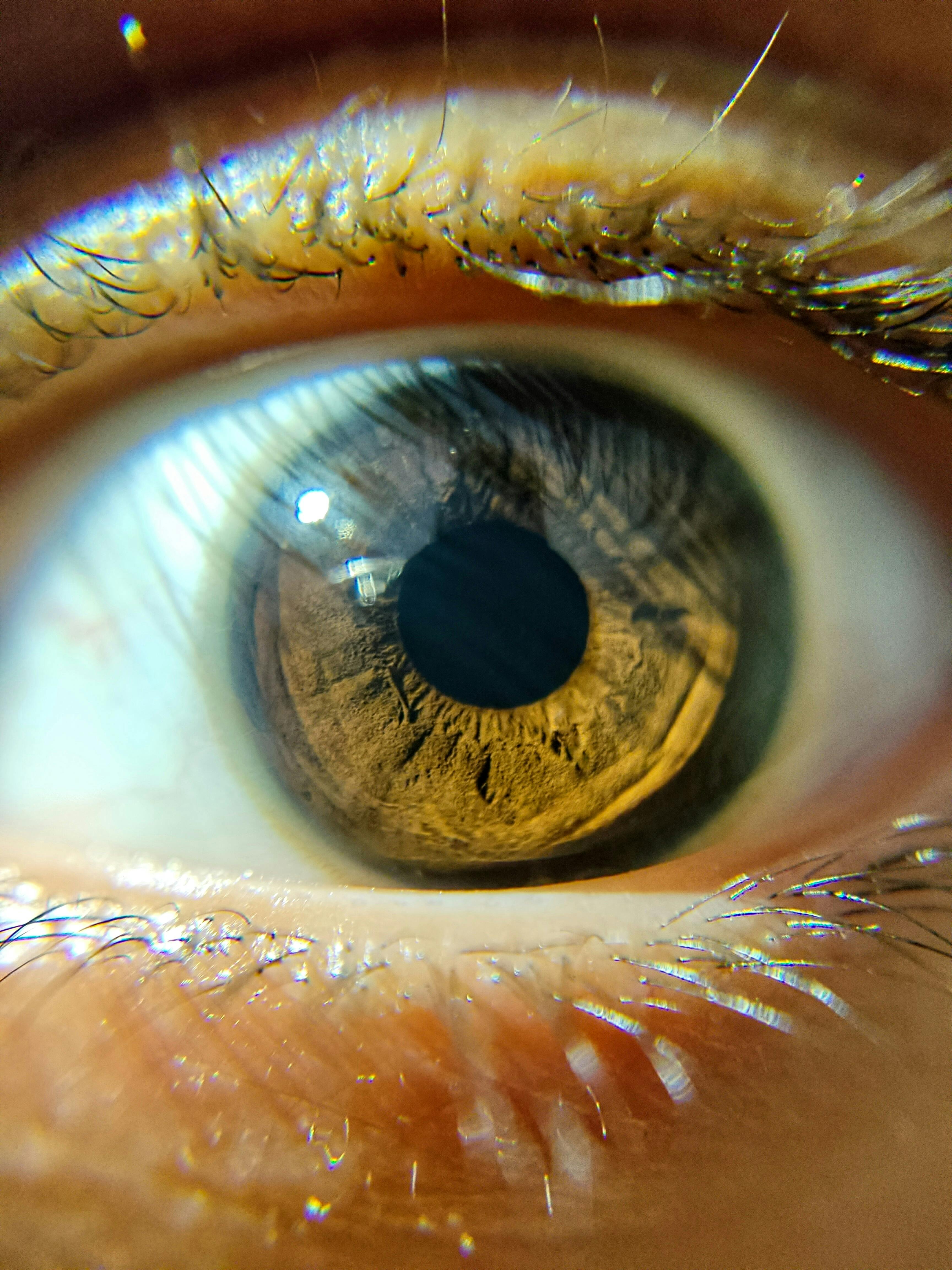 Human Eye · Free Stock Photo