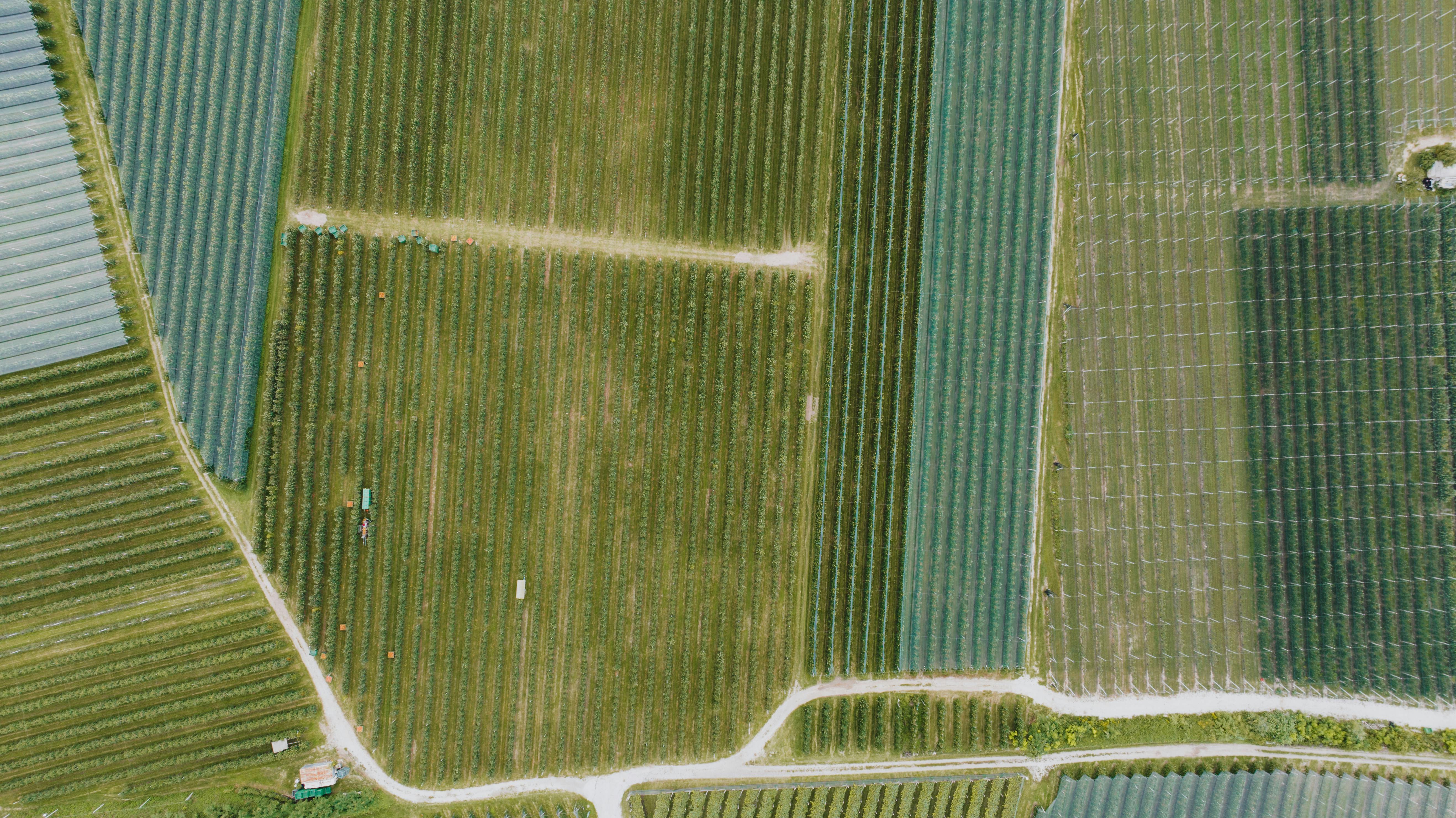 Aerial View of Vast Agricultural Fields in Italy · Free Stock Photo