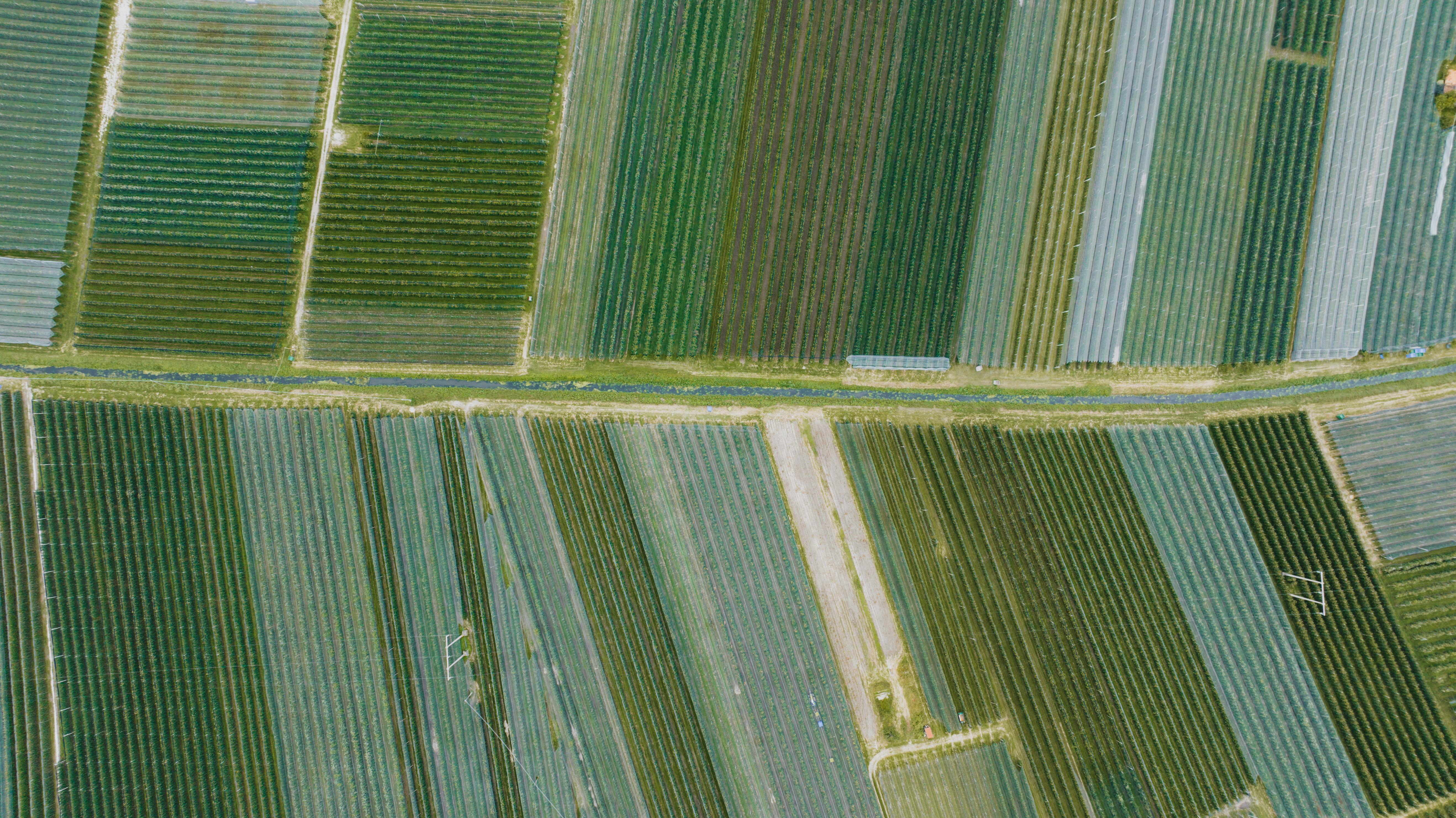 Aerial View of Green Agricultural Fields · Free Stock Photo