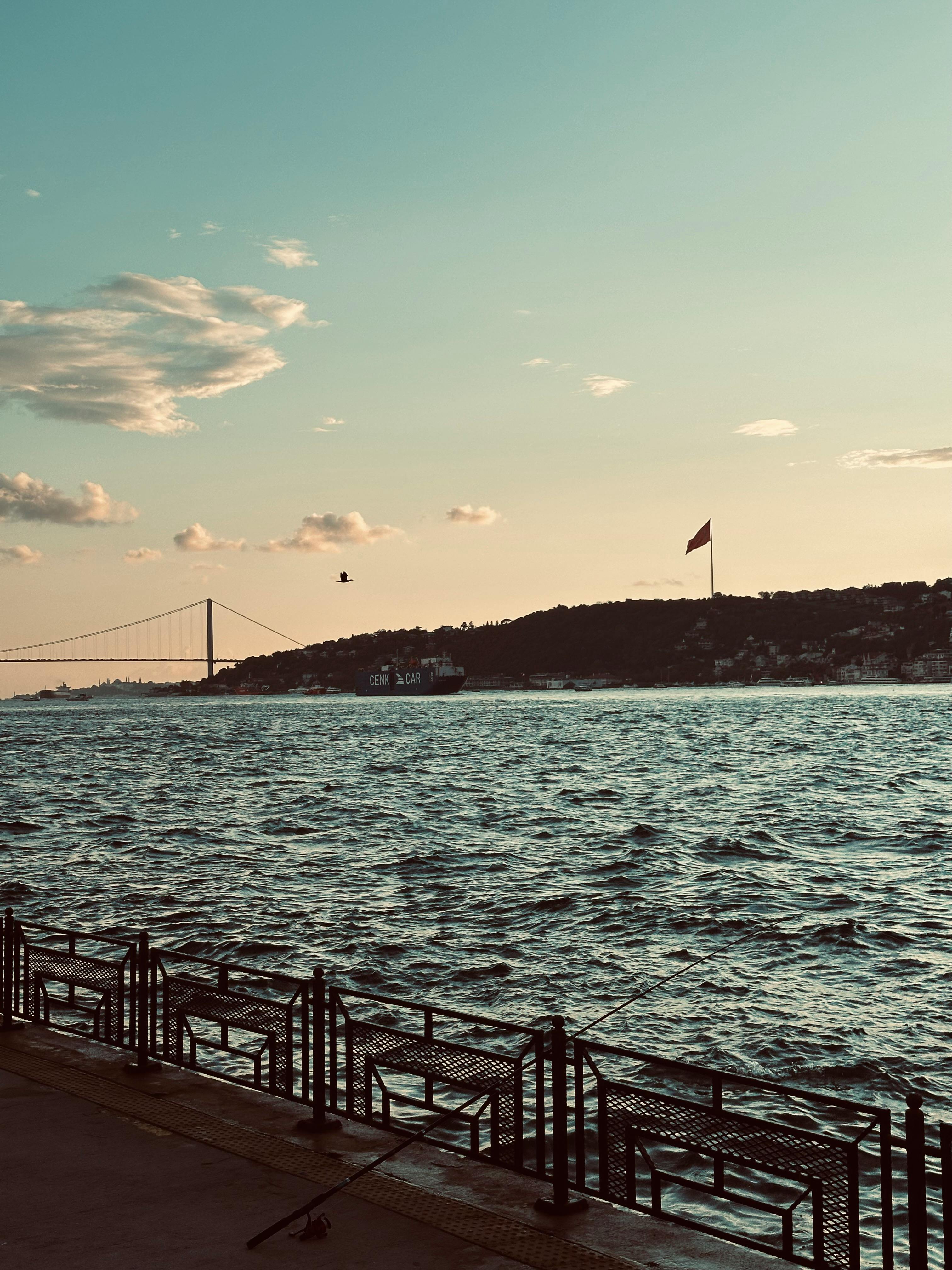 Hafize Balcı - 사진